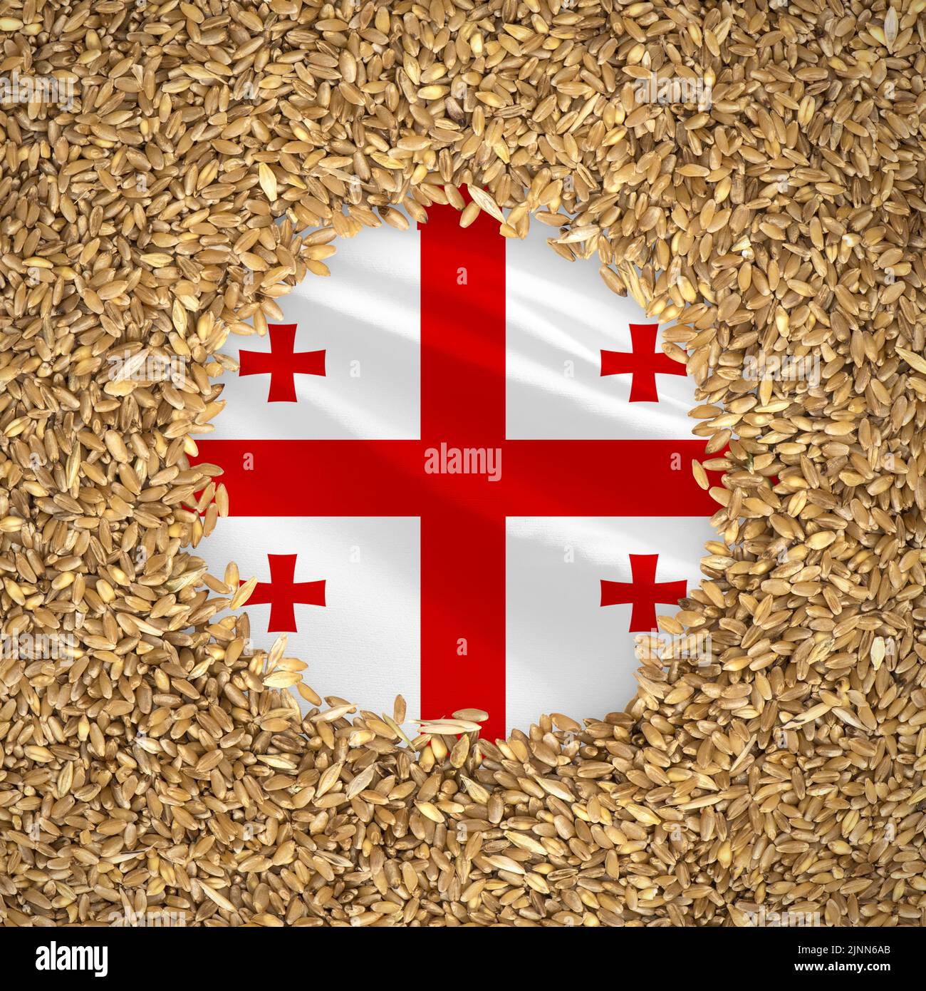 Flag of georgia with grains of wheat. Natural whole wheat concept with ...