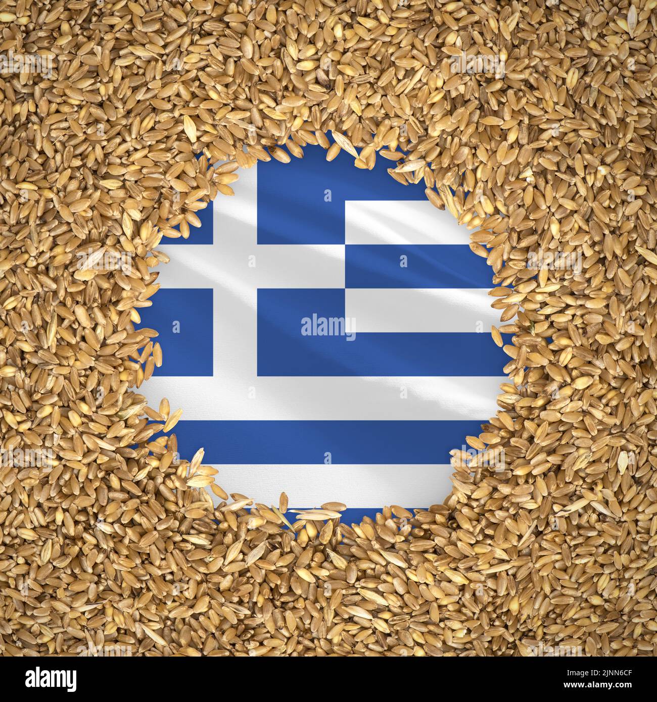 Flag of greece with grains of wheat. Natural whole wheat concept with ...