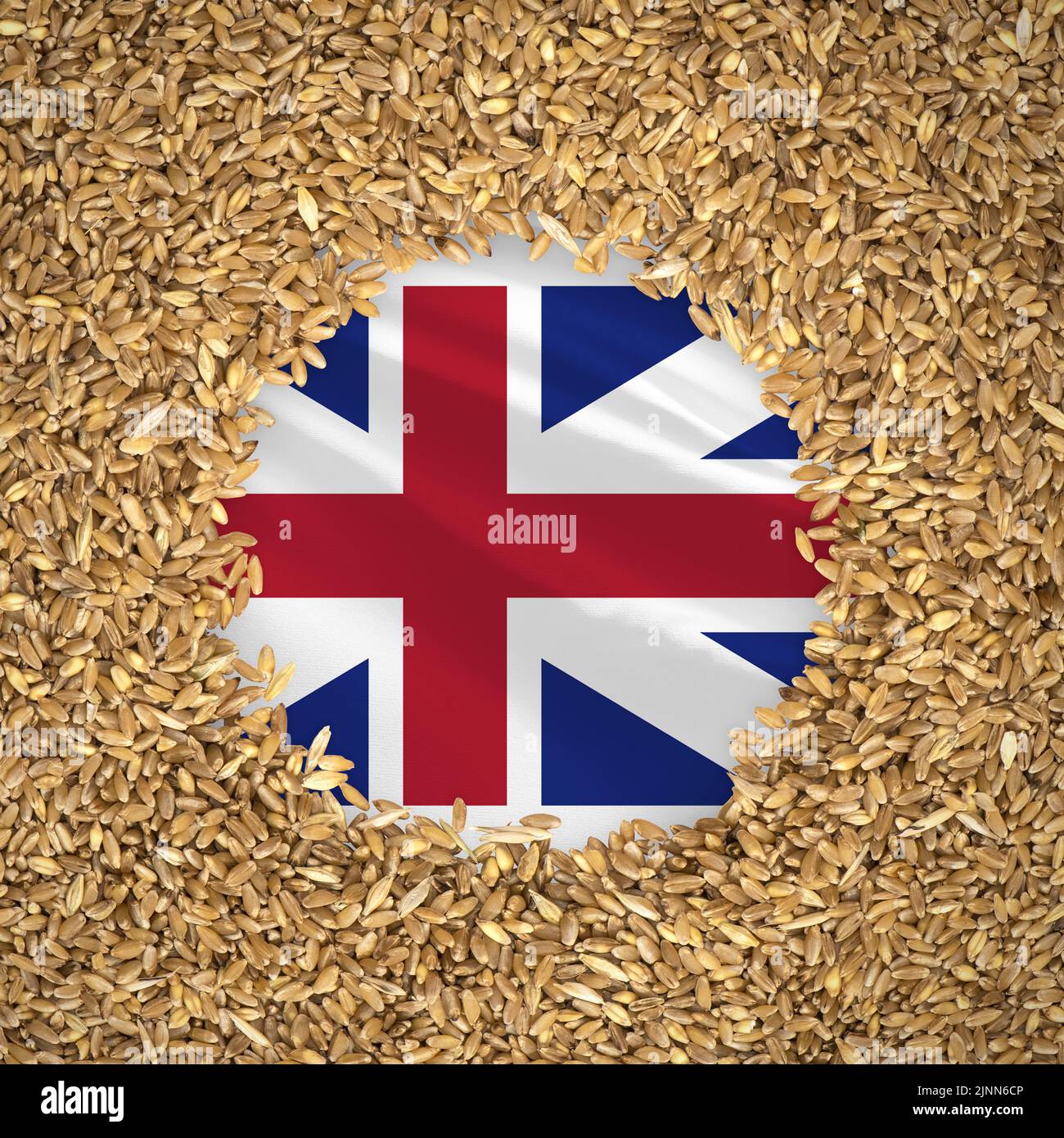 Flag of great britain with grains of wheat. Natural whole wheat concept ...