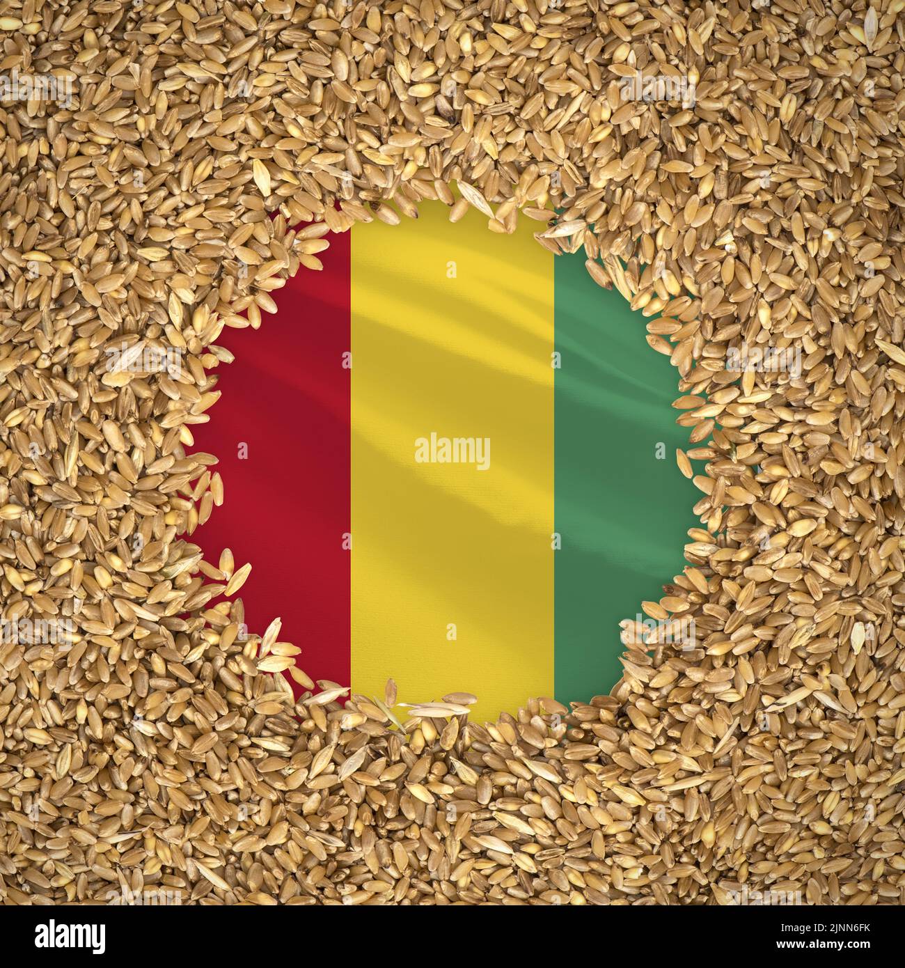 Flag of guinea with grains of wheat. Natural whole wheat concept with ...