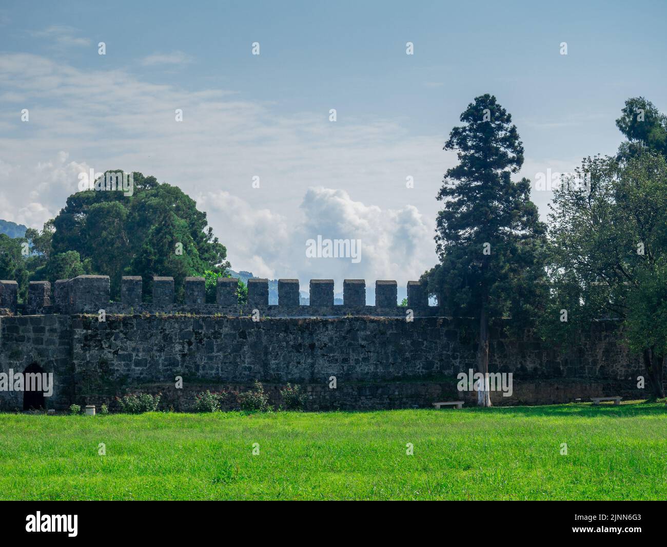 Lawn for grazing horses in the courtyard of a medieval castle. Lawn and ...