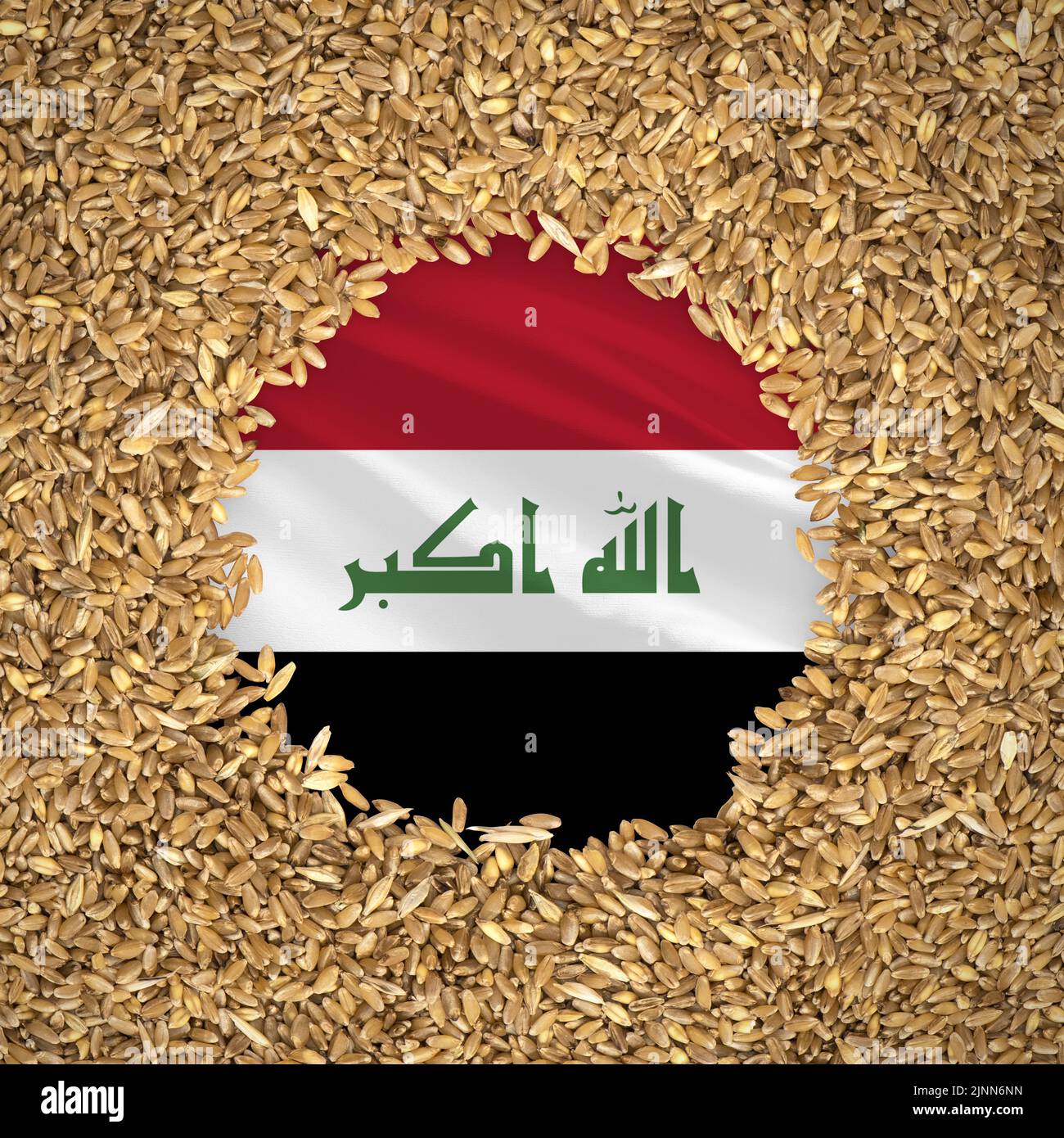 Flag of iraq with grains of wheat. Natural whole wheat concept with ...