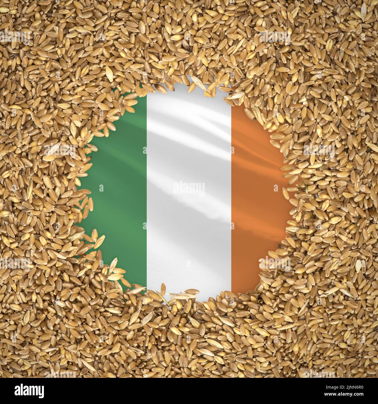 Flag of ireland with grains of wheat. Natural whole wheat concept with ...