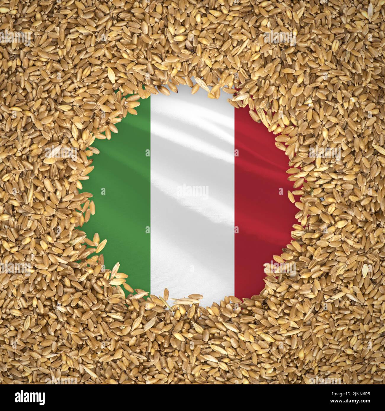 Flag of italy with grains of wheat. Natural whole wheat concept with ...