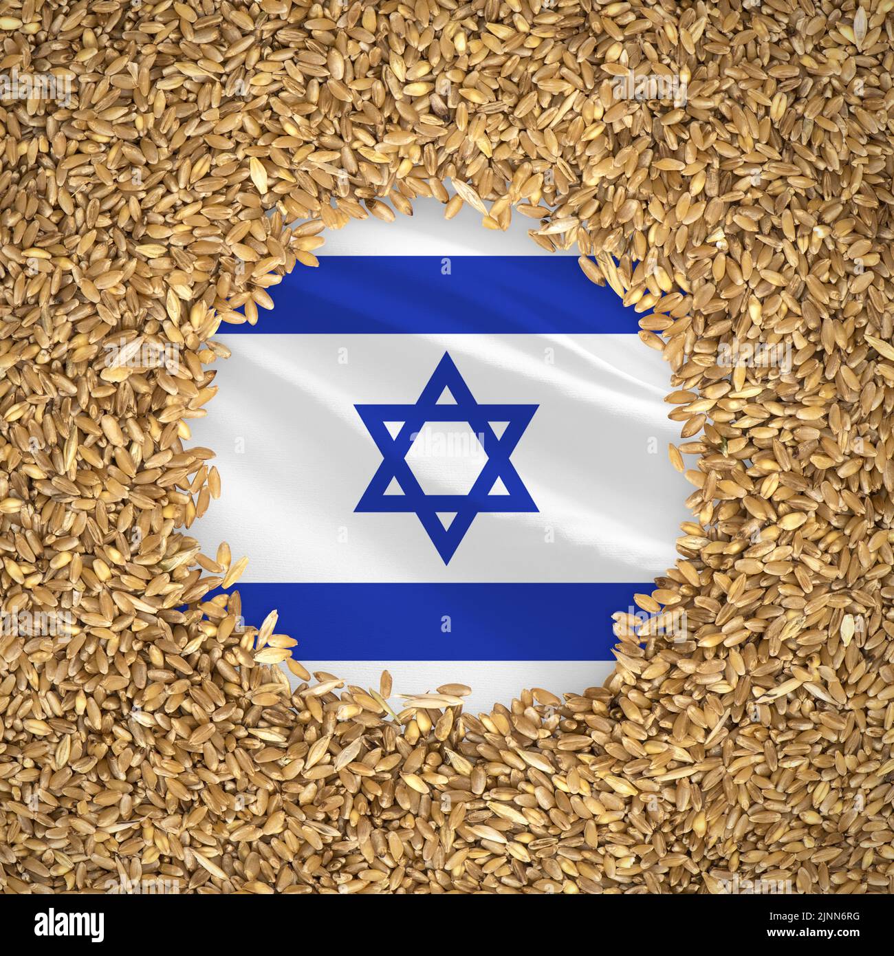 Flag of israel with grains of wheat. Natural whole wheat concept with ...