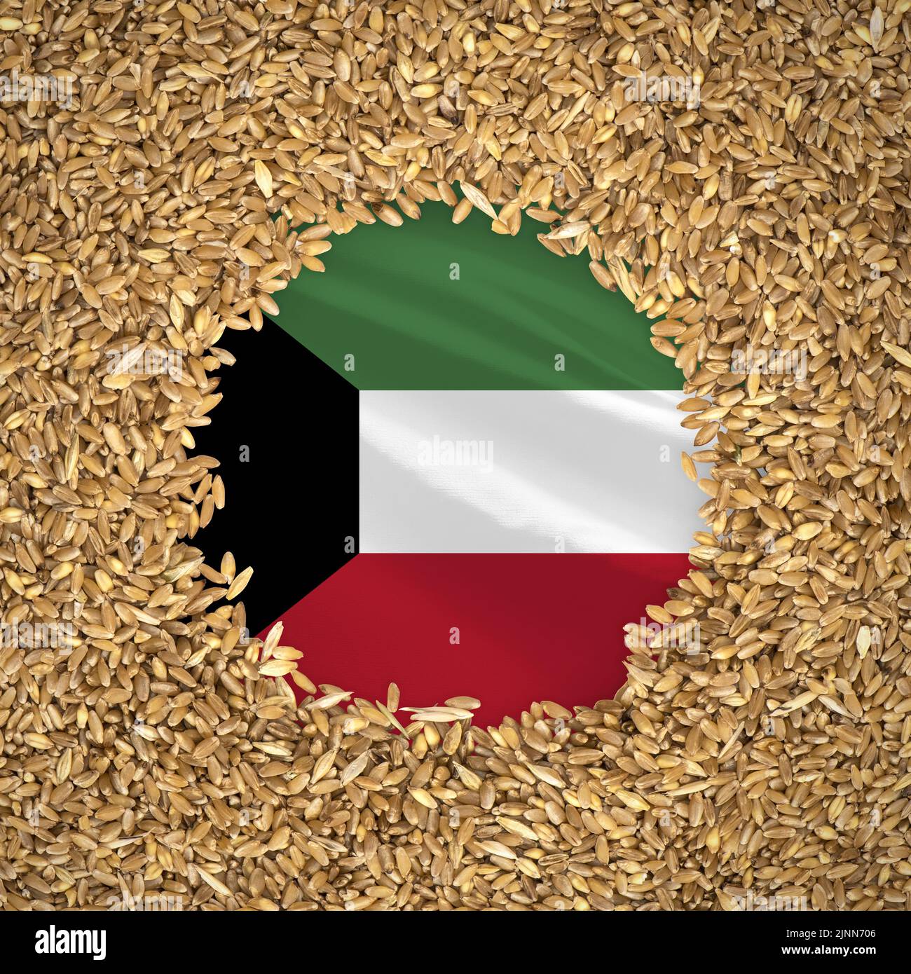 Flag of kuwait with grains of wheat. Natural whole wheat concept with ...
