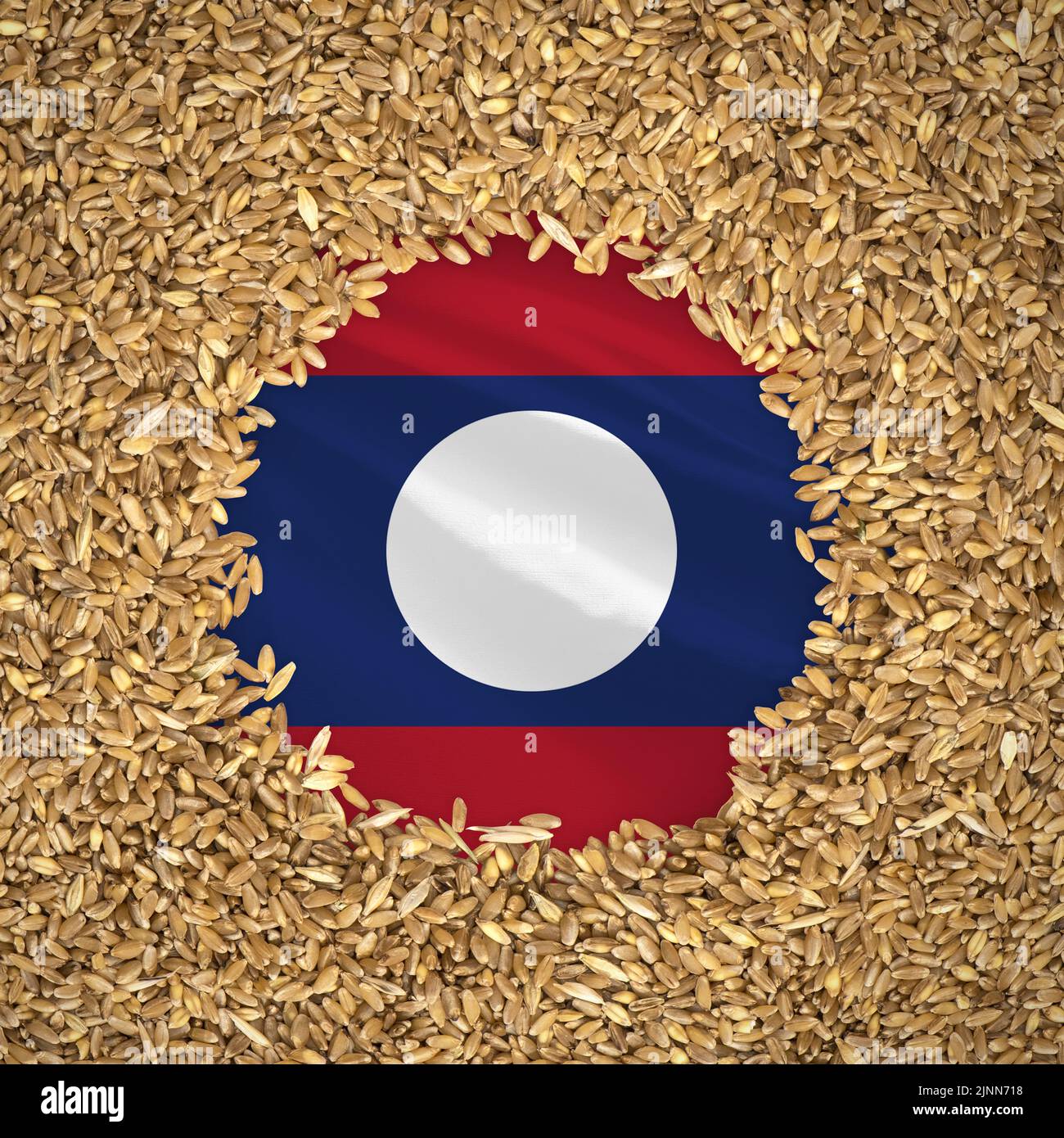 Flag of laos with grains of wheat. Natural whole wheat concept with ...