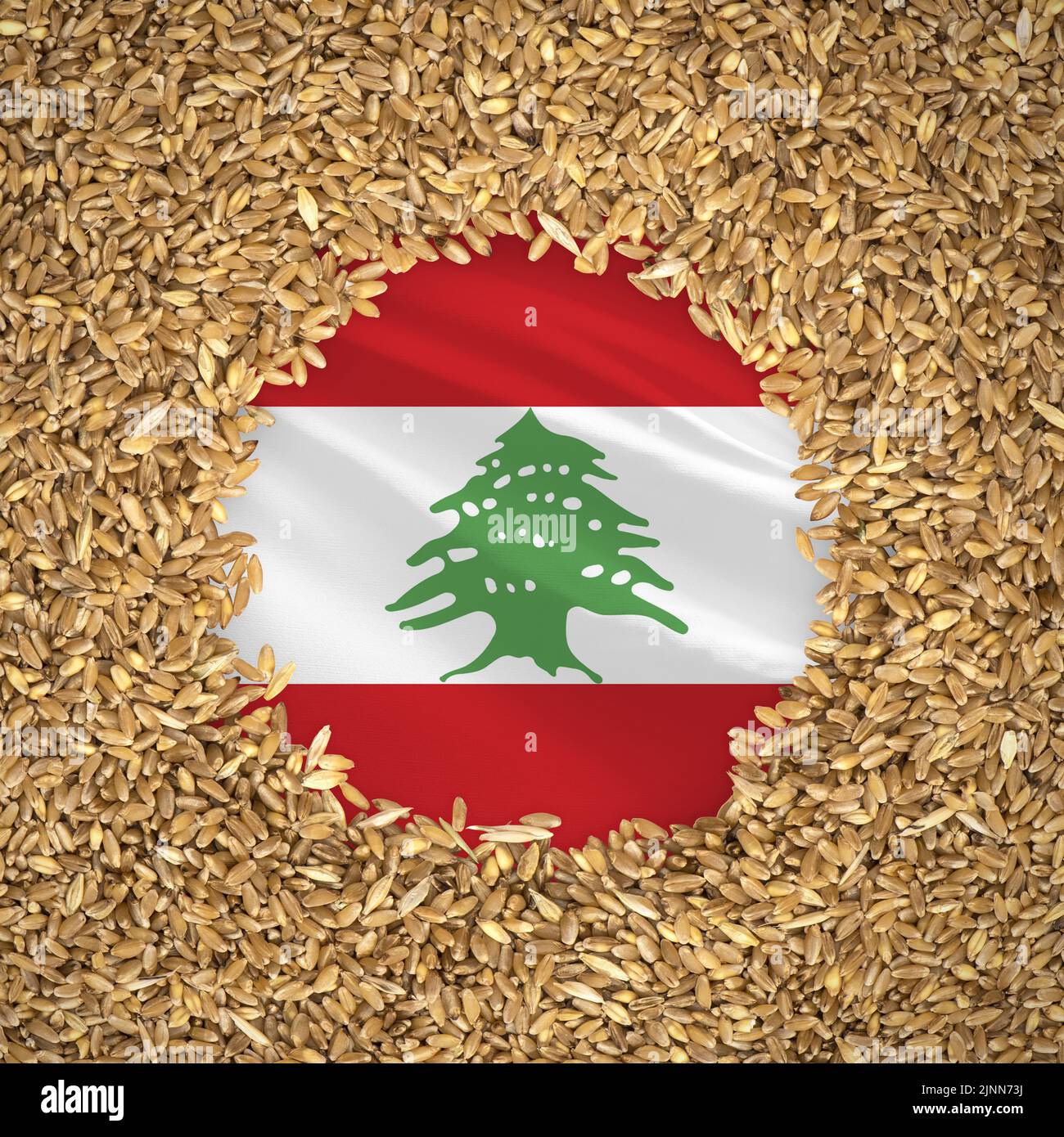 Flag of lebanon with grains of wheat. Natural whole wheat concept with ...