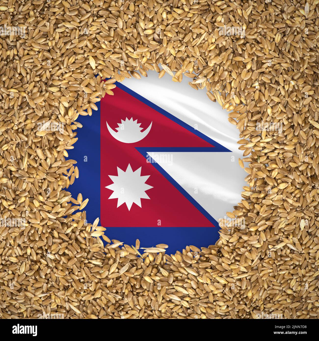 Flag of nepal with grains of wheat. Natural whole wheat concept with ...