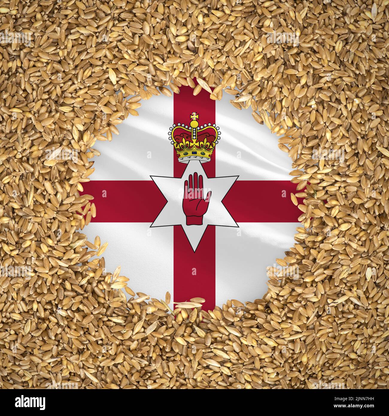 Flag of northern ireland with grains of wheat. Natural whole wheat ...
