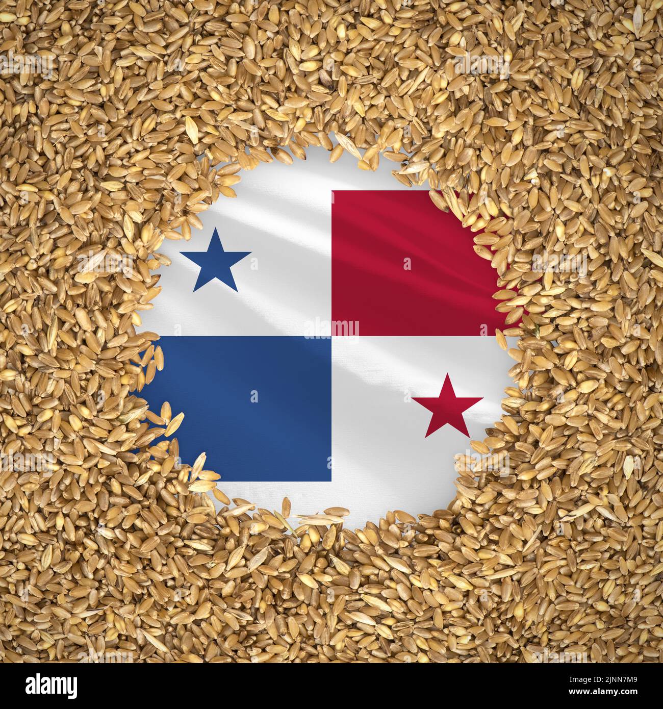 Flag of panama with grains of wheat. Natural whole wheat concept with ...