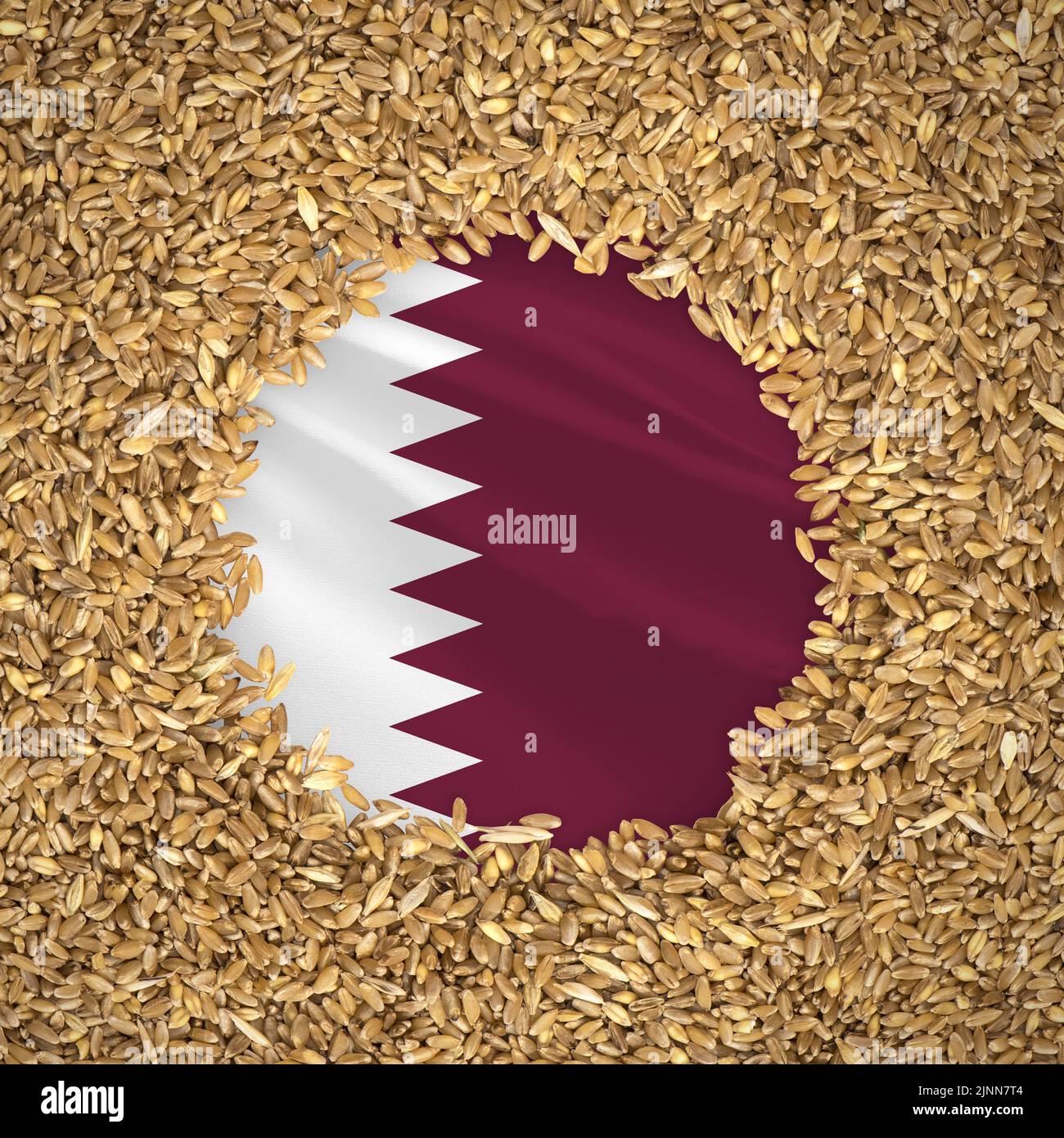 Flag of qatar with grains of wheat. Natural whole wheat concept with ...