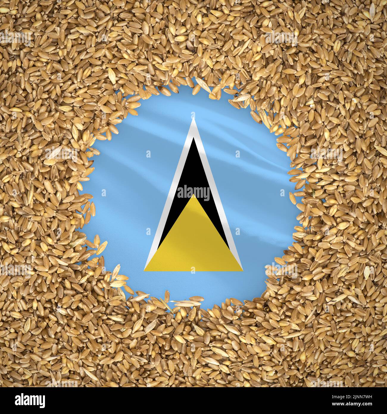 Flag of saint lucia with grains of wheat. Natural whole wheat concept ...