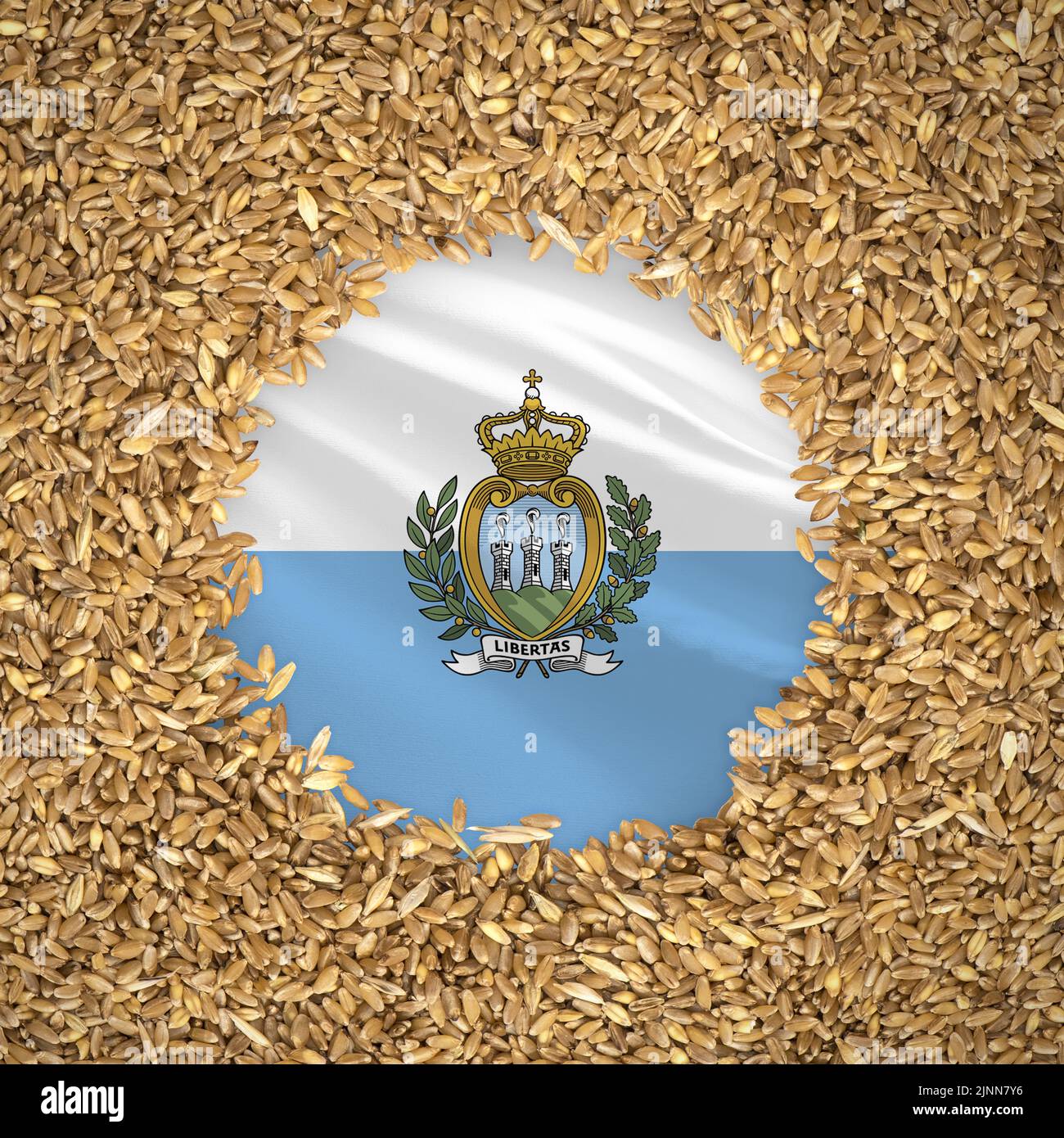 Flag of san marino with grains of wheat. Natural whole wheat concept ...