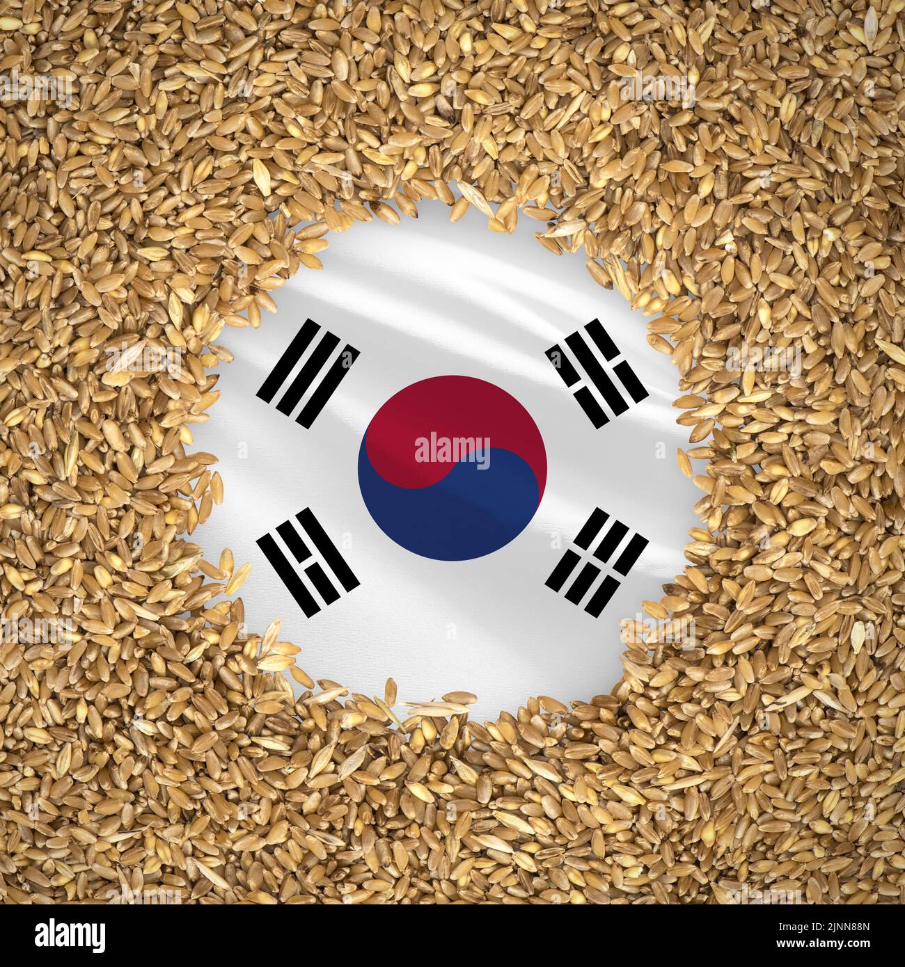 Flag of south korea with grains of wheat. Natural whole wheat concept ...