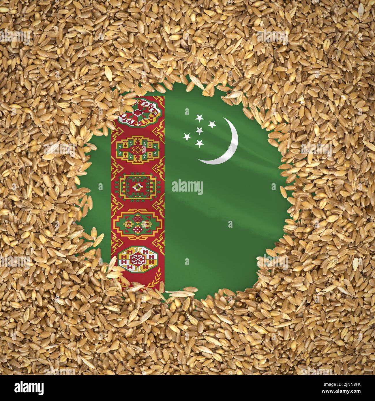 Flag of turkmenistan with grains of wheat. Natural whole wheat concept ...