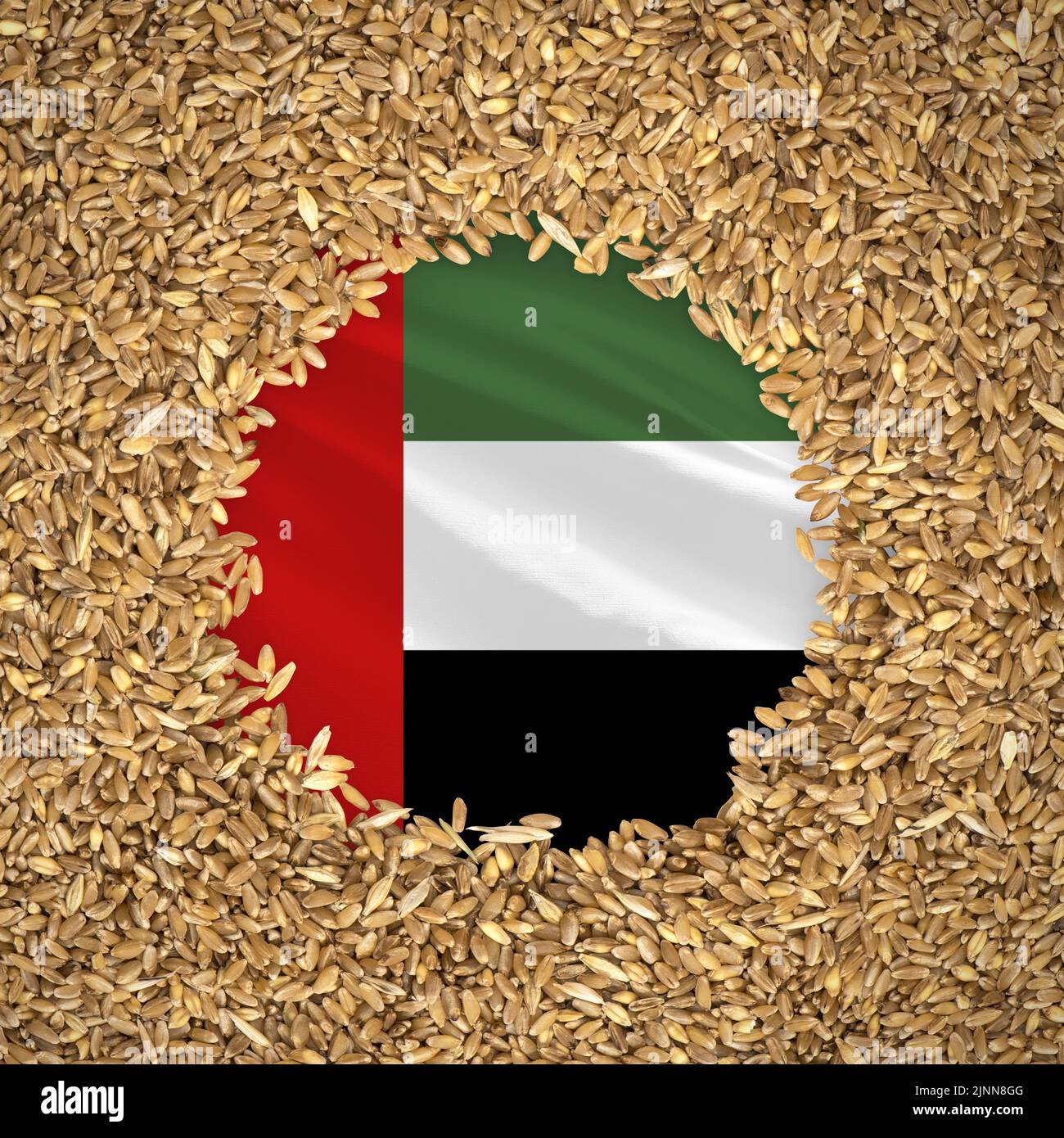 Flag of uae with grains of wheat. Natural whole wheat concept with flag ...
