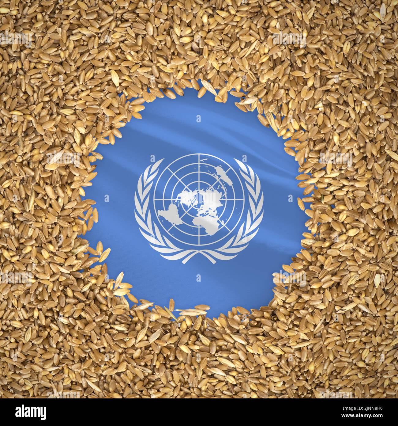 Flag of united nations with grains of wheat. Natural whole wheat ...