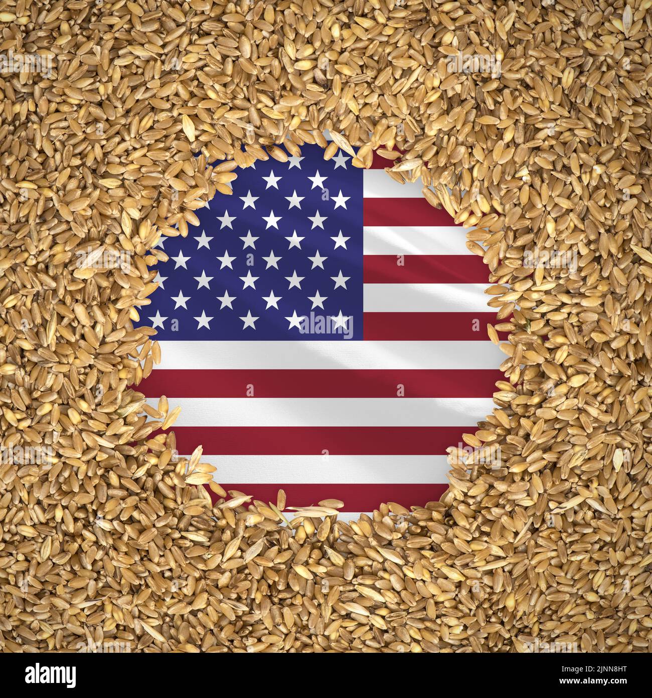 Flag of usa with grains of wheat. Natural whole wheat concept with flag ...