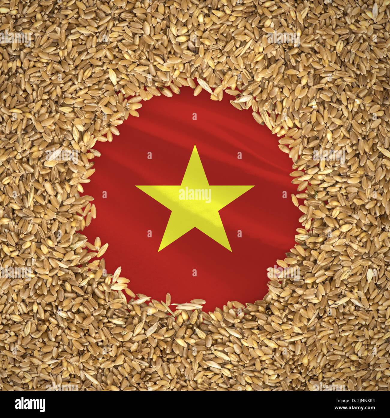 Flag of vietnam with grains of wheat. Natural whole wheat concept with ...