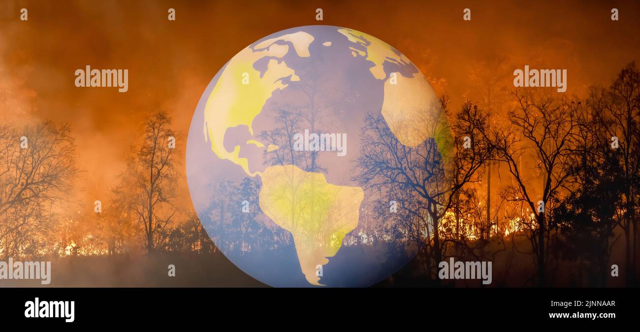 Rain forest fire disaster is burning caused by humans Stock Photo - Alamy
