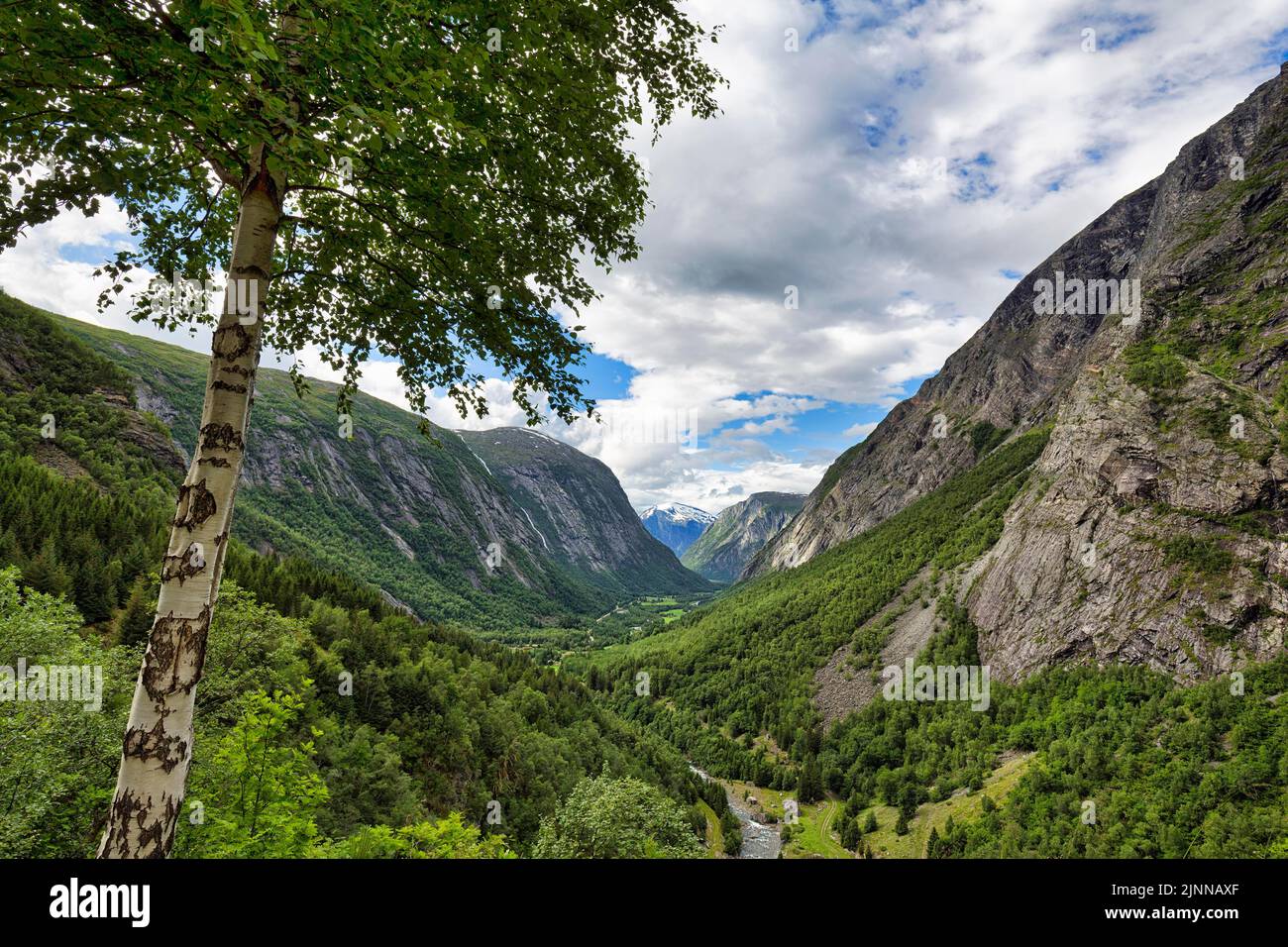 View from above of the forested valley Eikesdalen, high mountains and ...