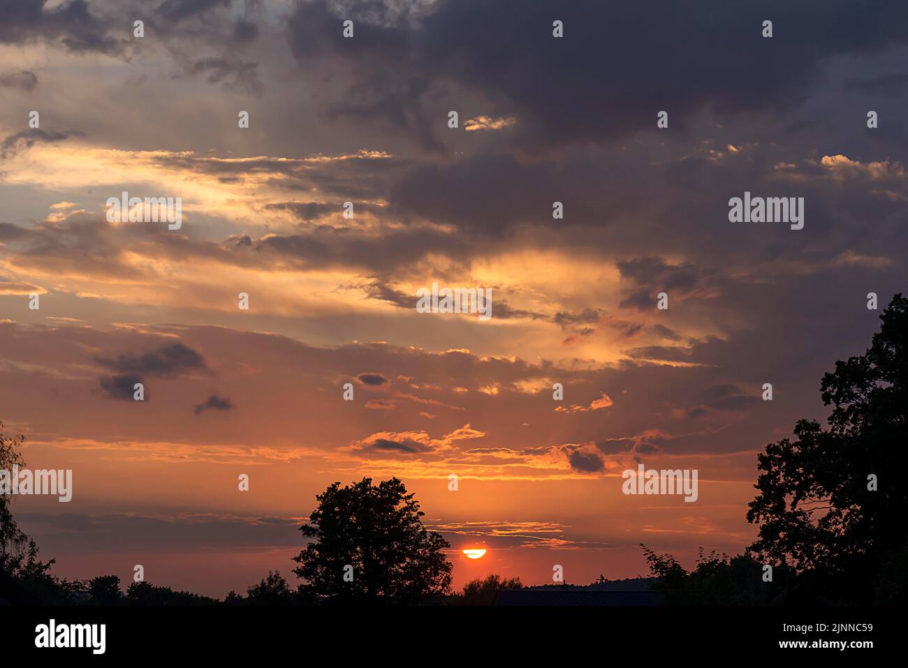 Setting sun with tree silhouettes, Bavaria, Germany Stock Photo - Alamy