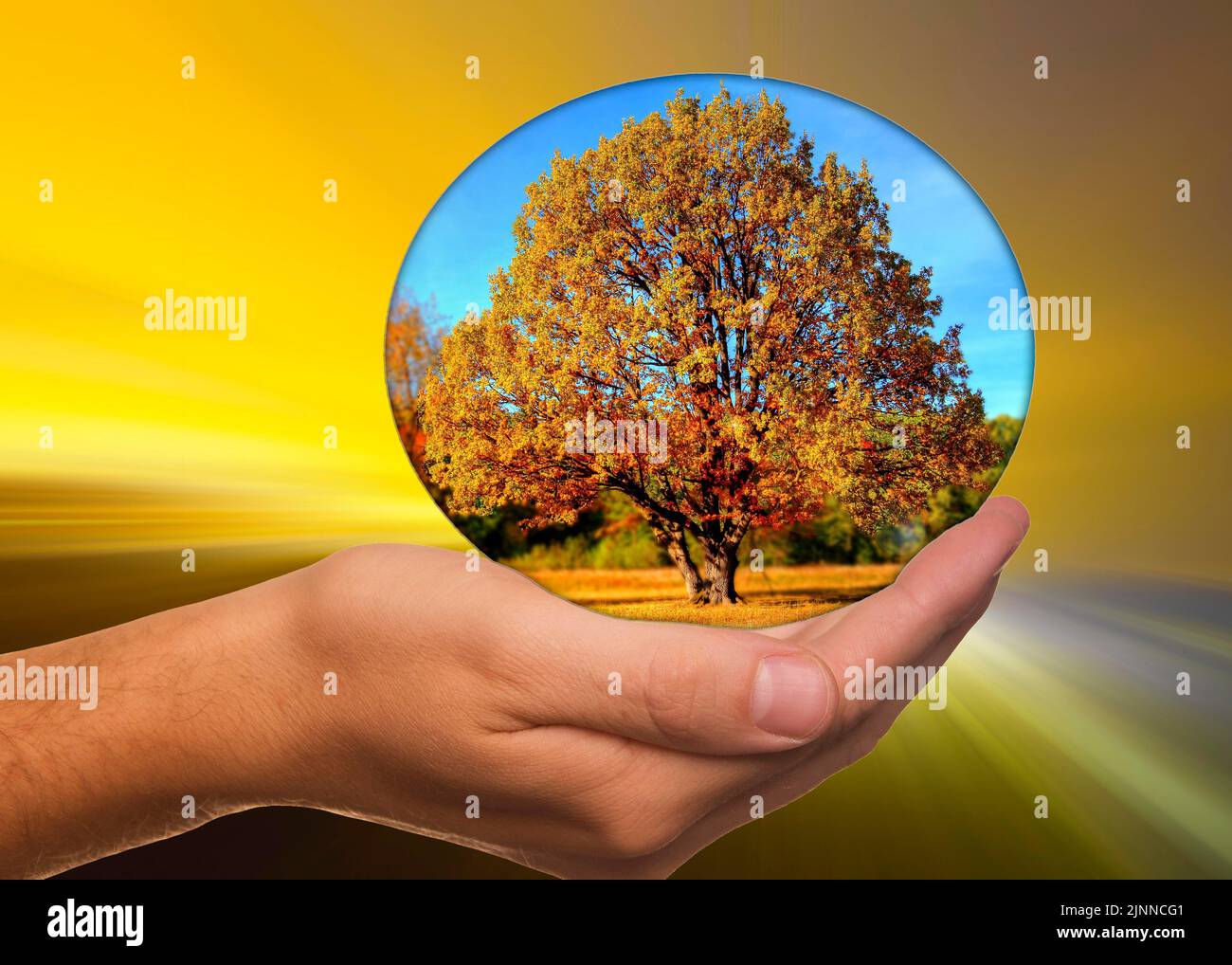 Climate protection, climate change, livable world, nature conservation ...