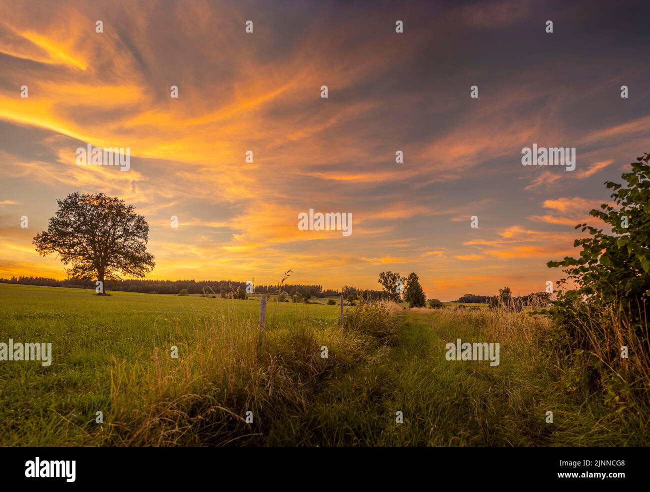 Field path at sunset, Unterallgaeu, Bavaria Stock Photo - Alamy