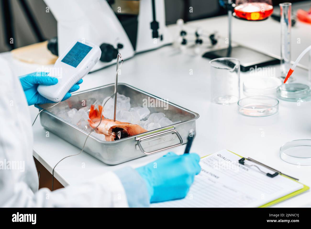 Quality control inspector testing fish Stock Photo - Alamy