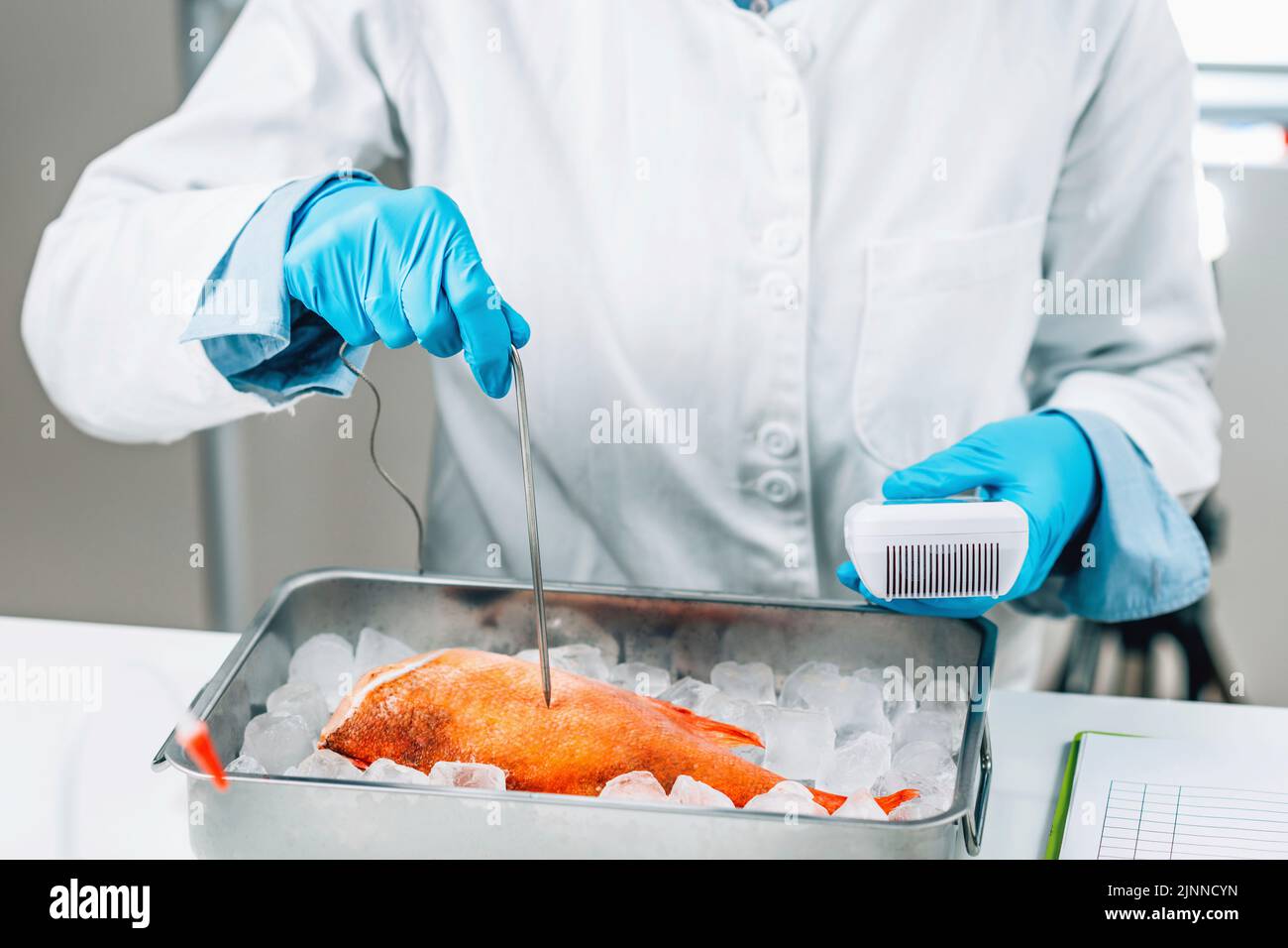Quality control inspector testing fish Stock Photo - Alamy