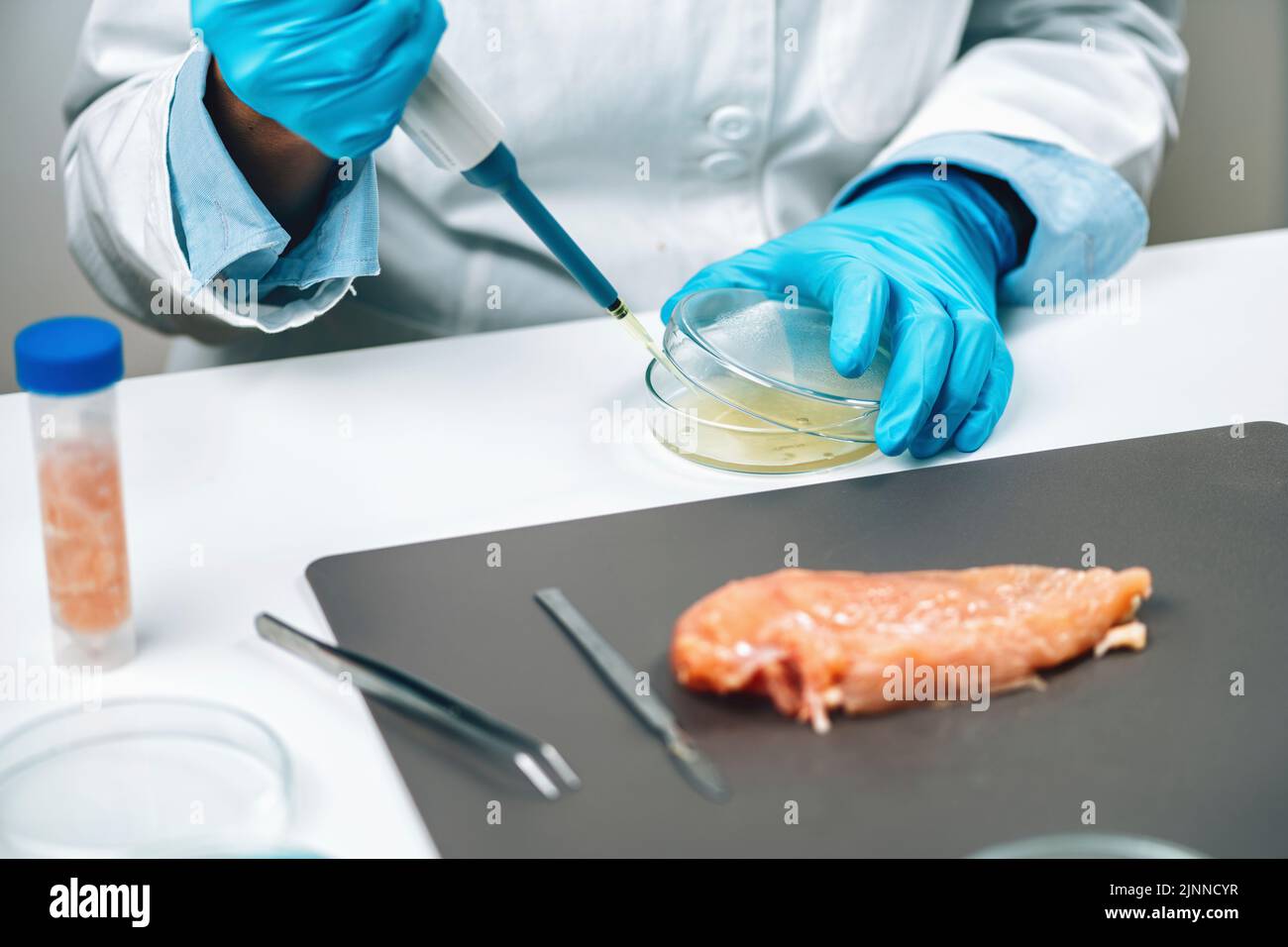 Quality control inspector testing poultry sample Stock Photo - Alamy