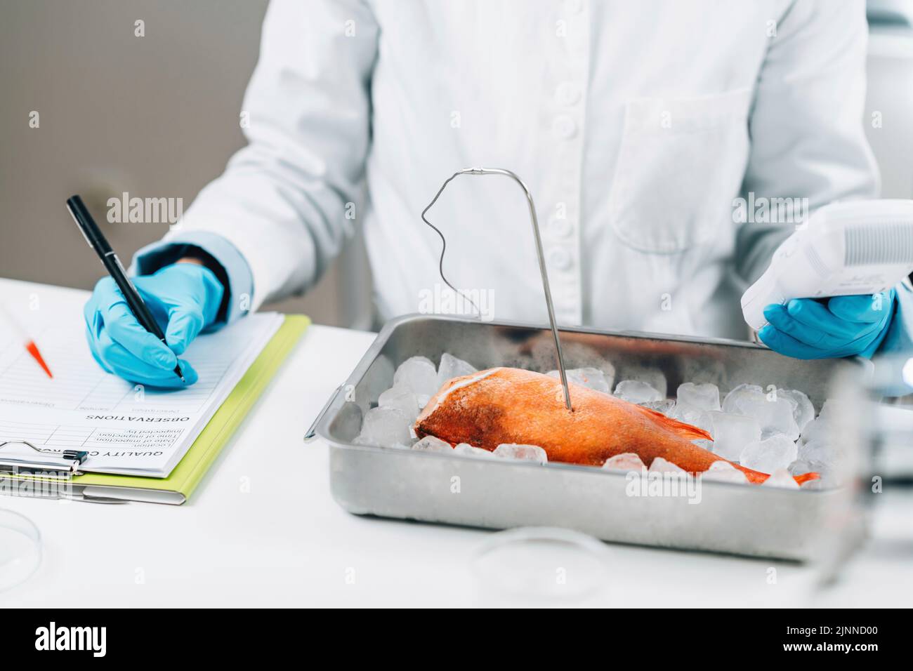 Quality control inspector testing fish Stock Photo - Alamy