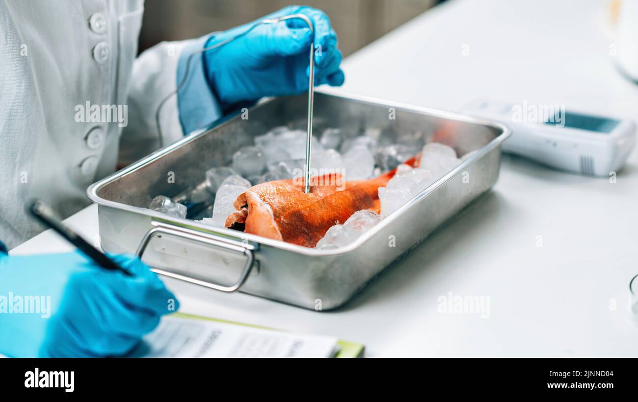 Quality control inspector hi-res stock photography and images - Alamy