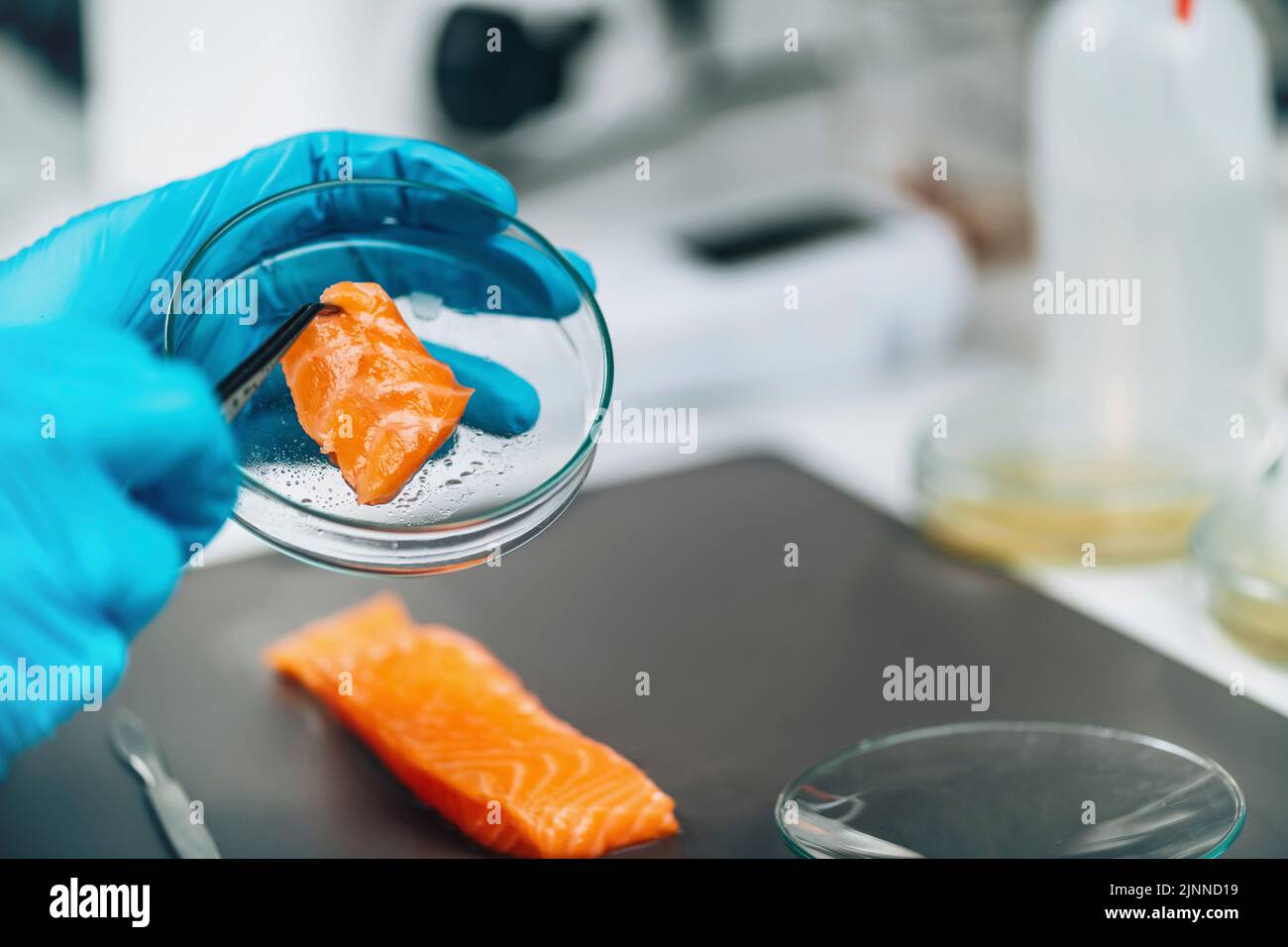 Quality control inspector taking fish sample Stock Photo - Alamy