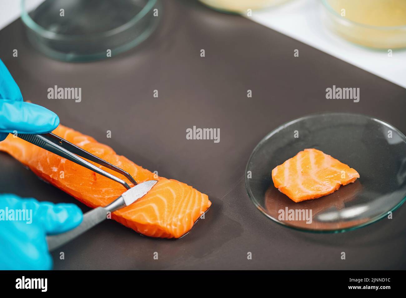 Quality control inspector taking fish sample Stock Photo - Alamy