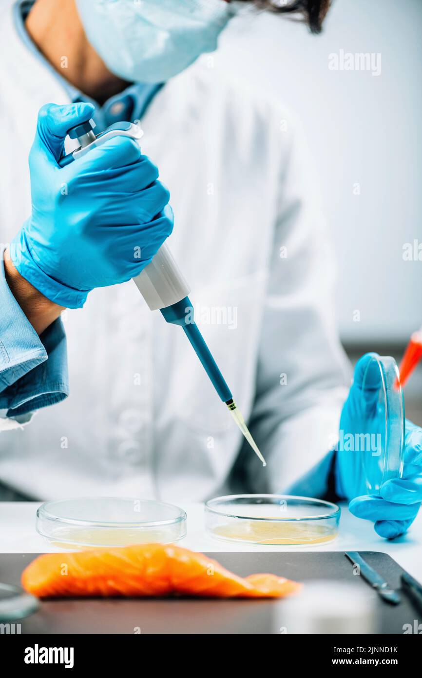 Quality control inspector testing fish sample Stock Photo - Alamy