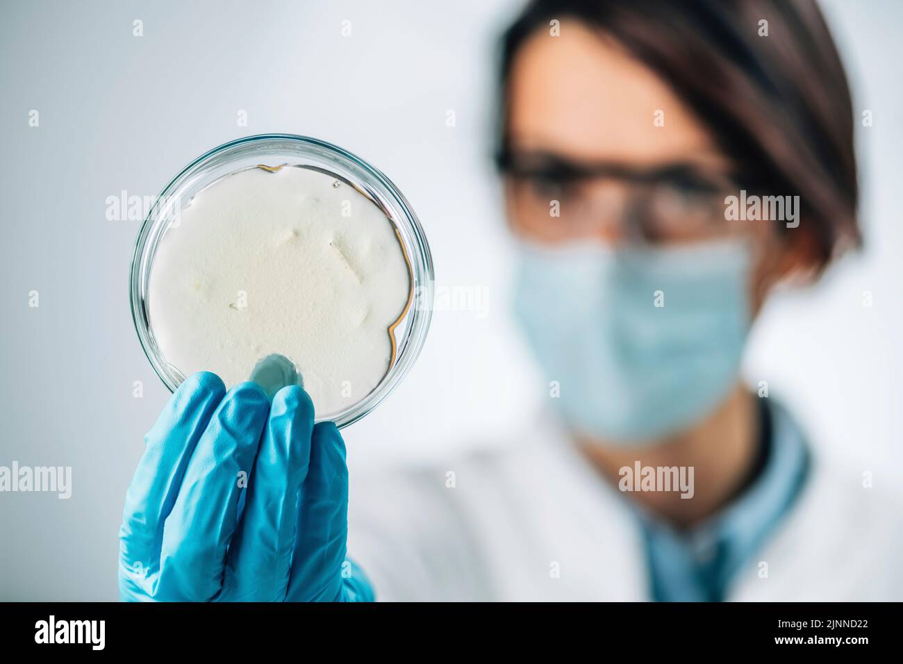 Quality control inspector testing fish sample Stock Photo - Alamy
