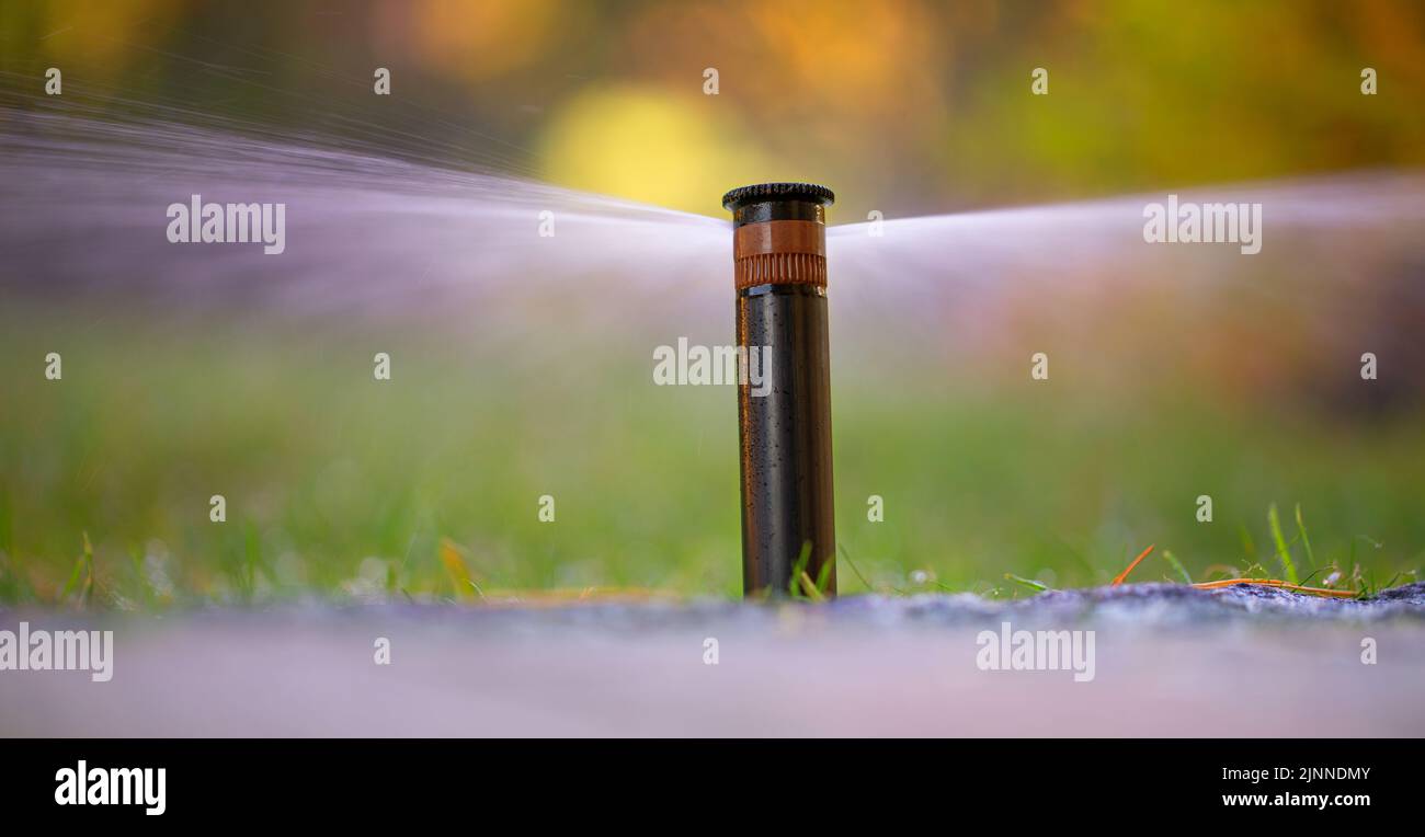 automatic sprinkler system watering the lawn close up Stock Photo - Alamy