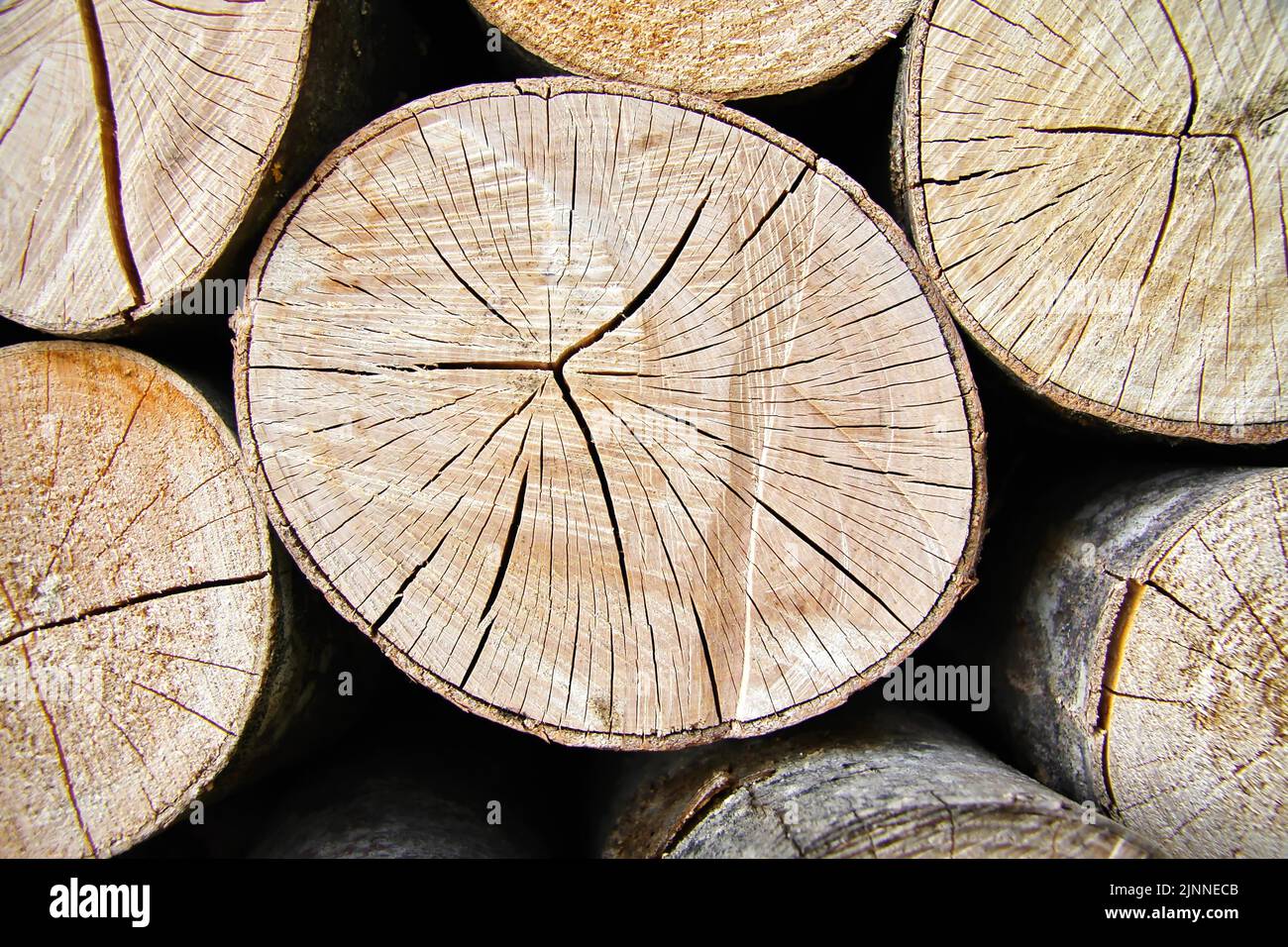 Firewood logs dried and stacked ready for the stove Stock Photo - Alamy