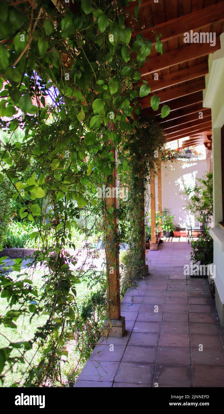 Roofed terrace with plants in Chile Stock Photo - Alamy