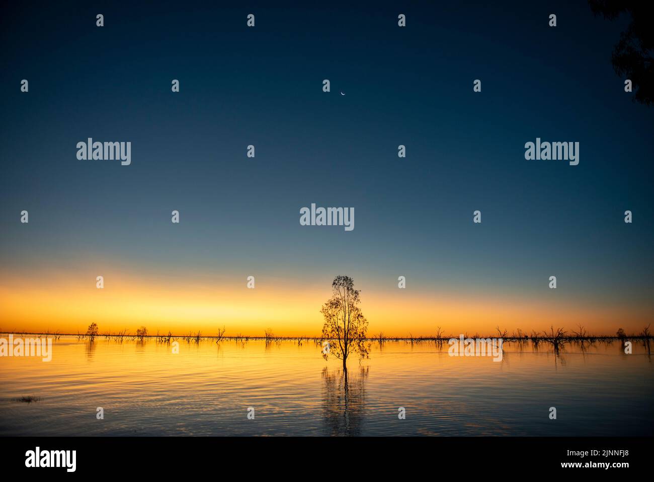 Flood waters from the Darling river fill Menindee lakes in the far west ...
