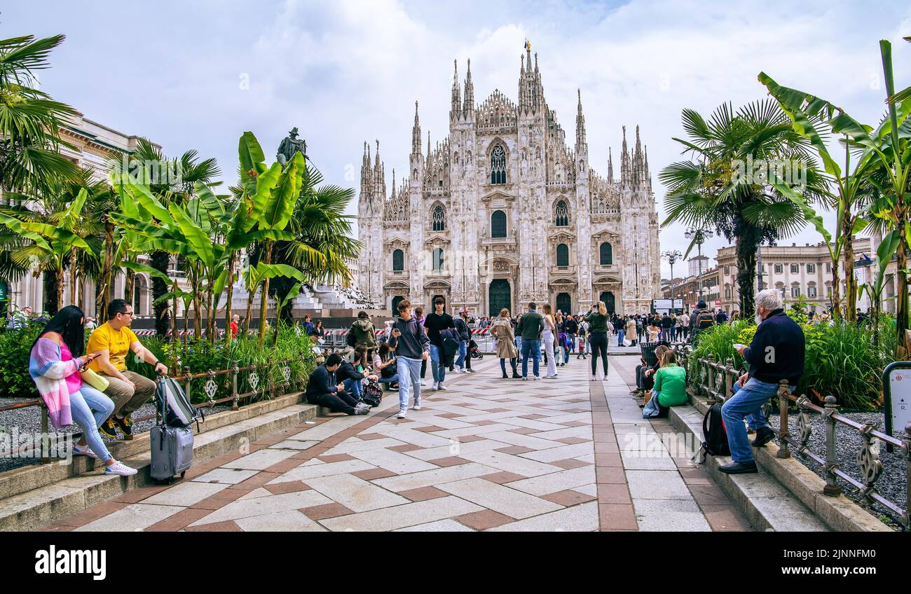 Palm tree terrace in the Piazza del Duomo, Cathedral Square with ...
