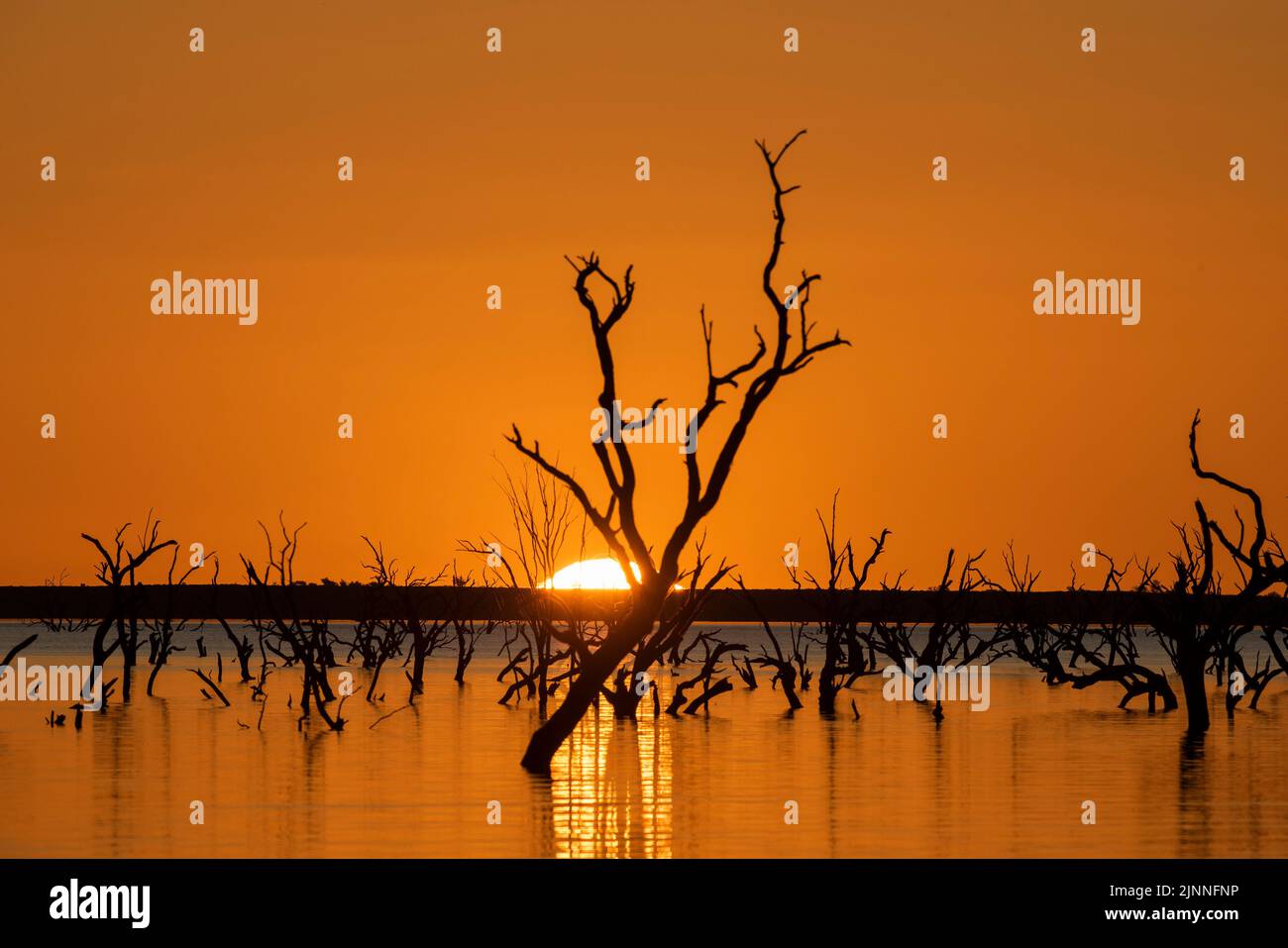 Flood waters from the Darling river fill Menindee lakes in the far west ...