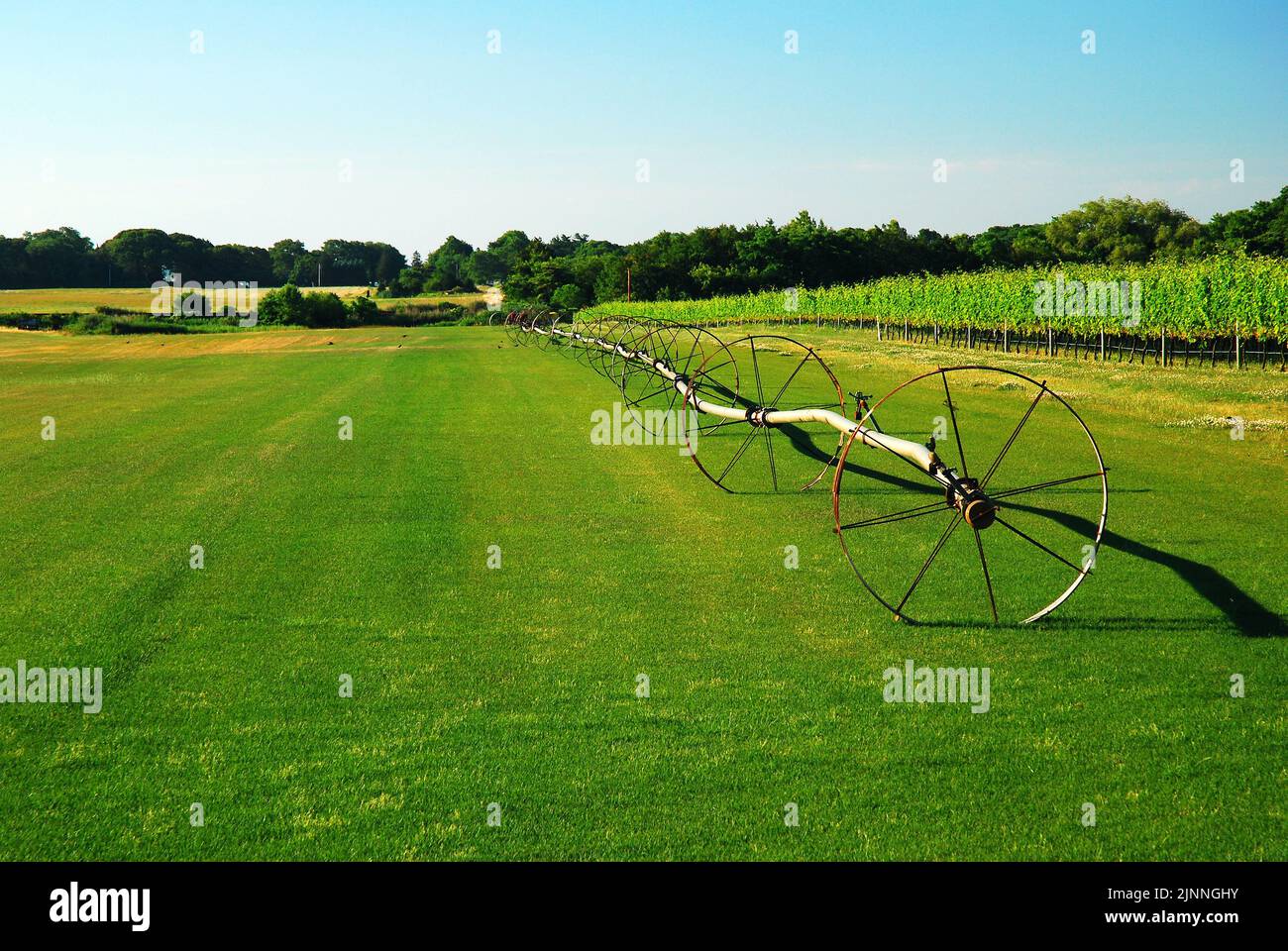 Round sprinkler hi-res stock photography and images - Alamy