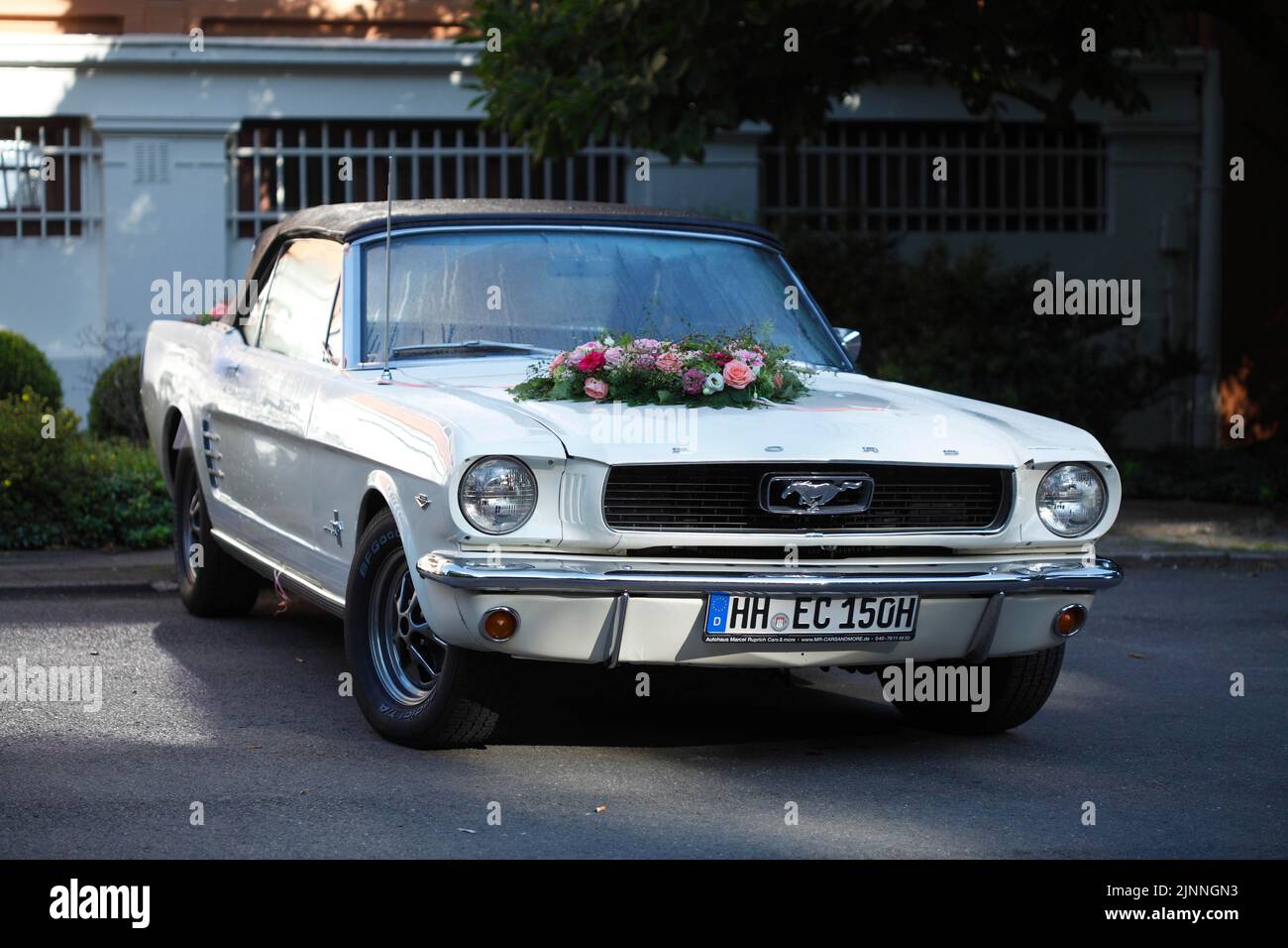 Ford Mustang, wedding car decorated with roses, white classic car ...