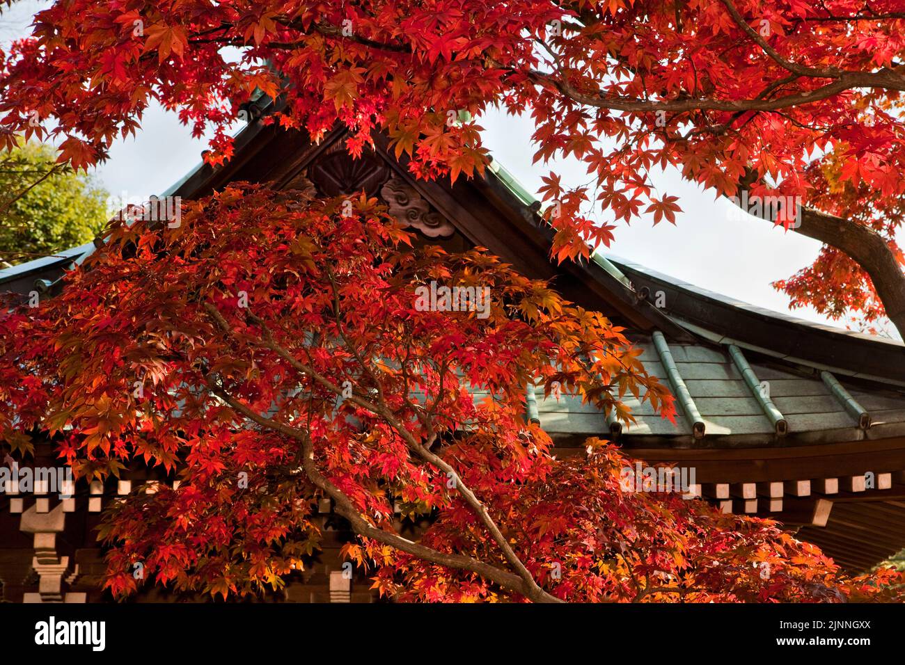 Kaizo ji temple hi-res stock photography and images - Alamy