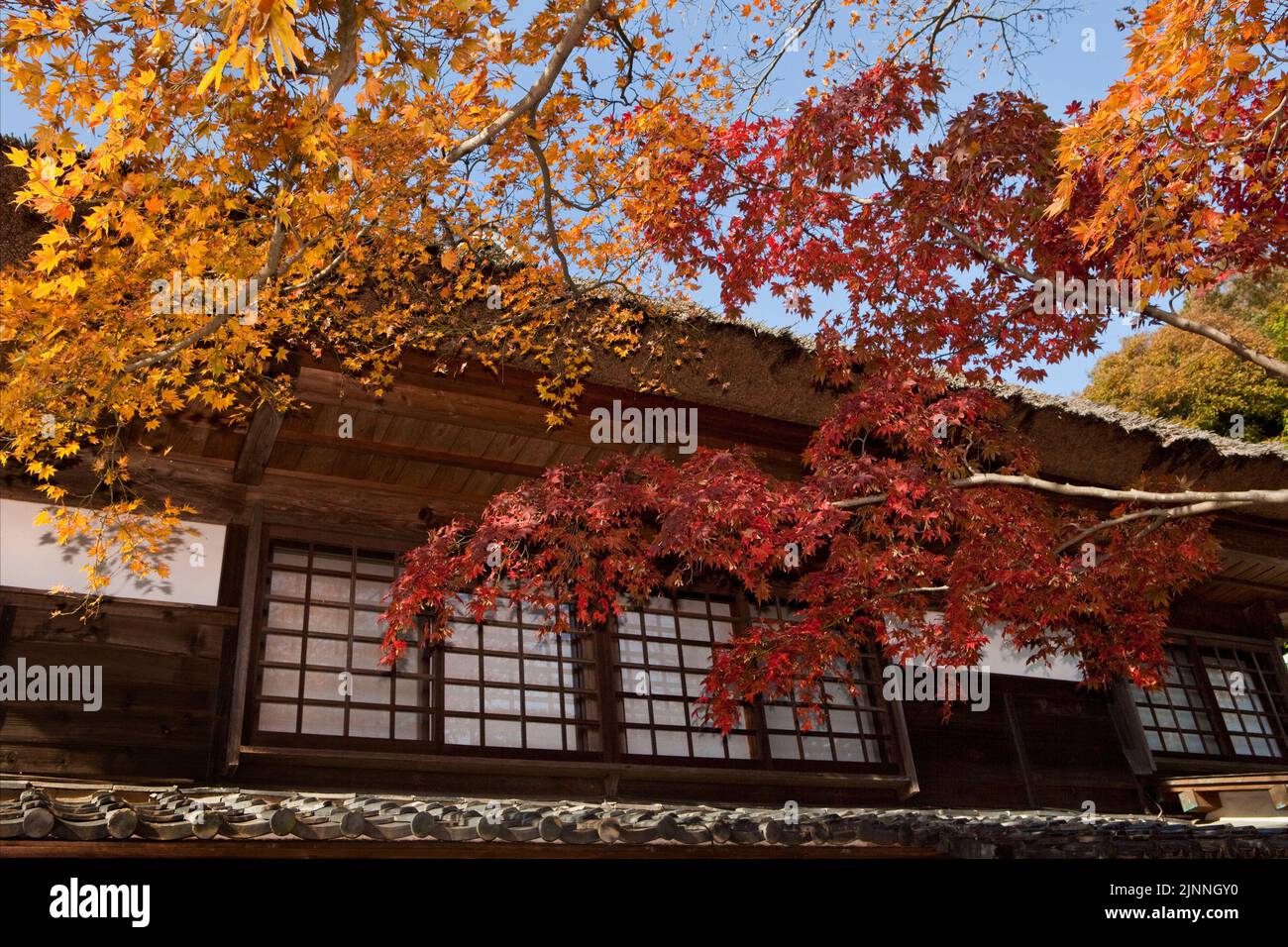 Kaizo-ji Temple thatched roof autumn color Kamakura Japan Stock Photo ...