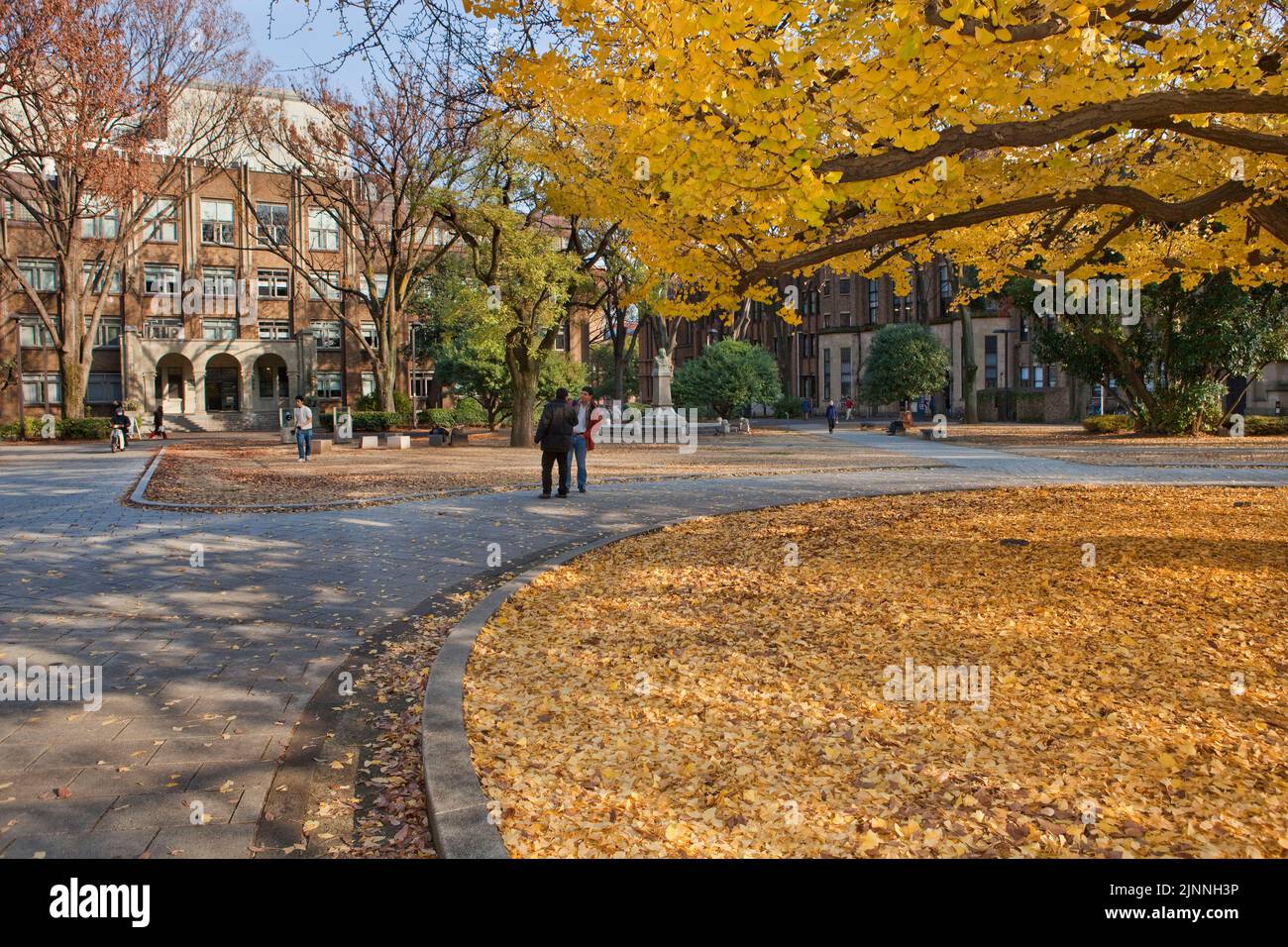 Structure japan university hi-res stock photography and images - Alamy