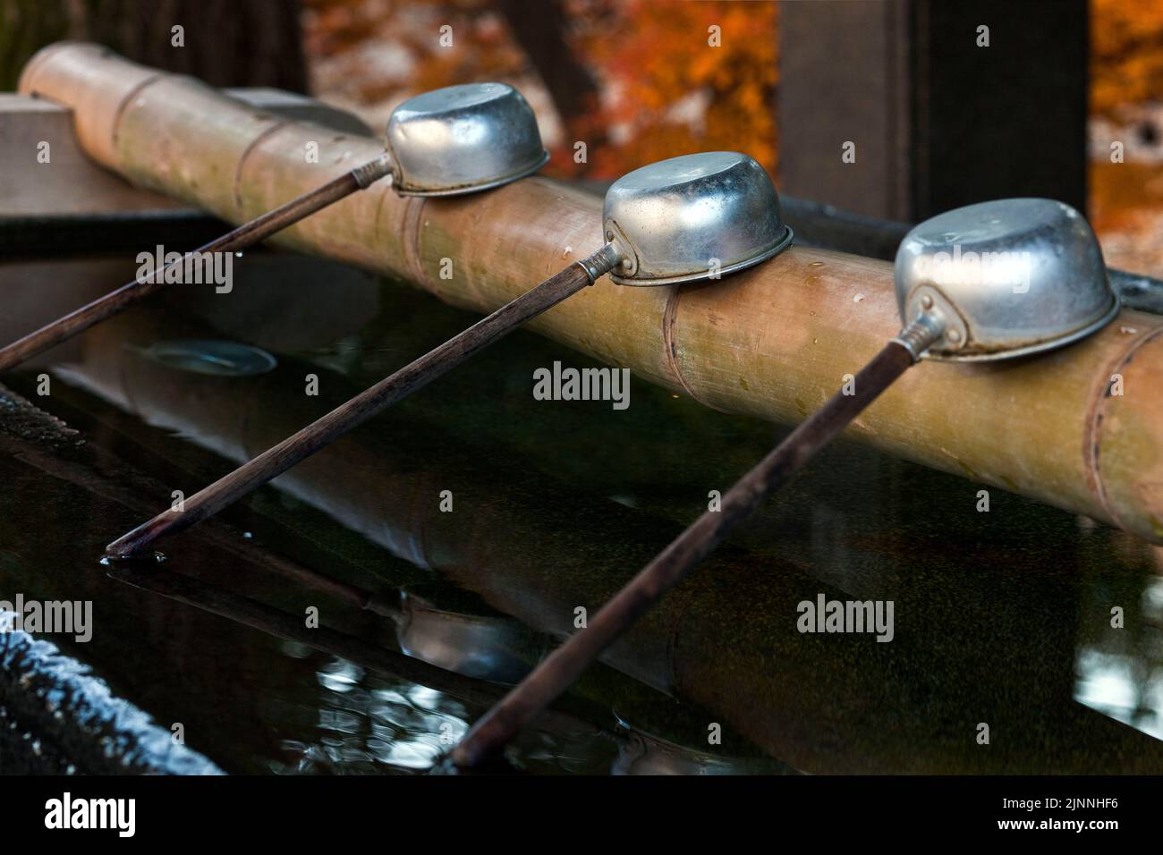 Water basin and dippers autumn Nezu Shrine Bunkyo Tokyo Japan Stock ...